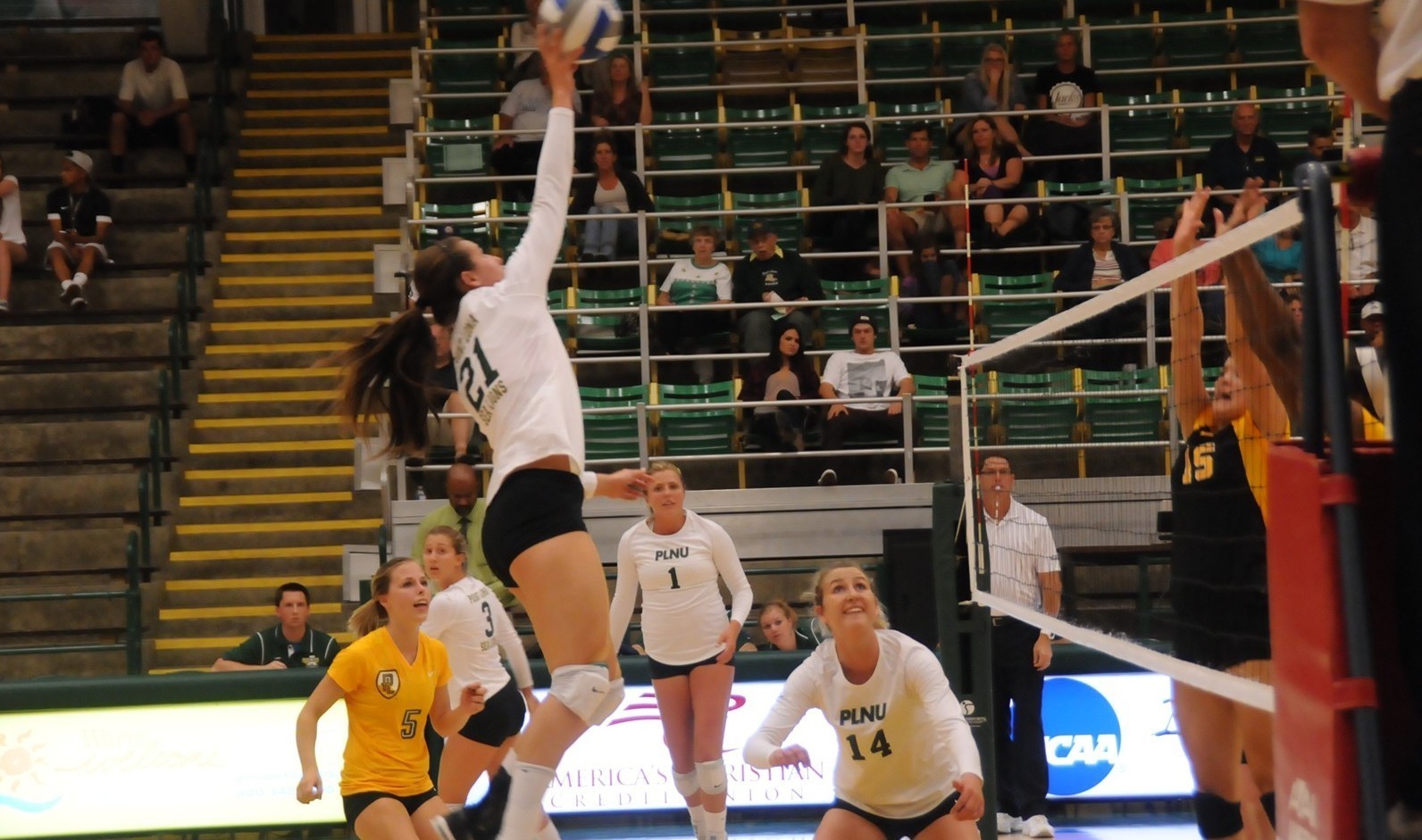 Kelli LeClair - Women's Volleyball - PLNU Athletics