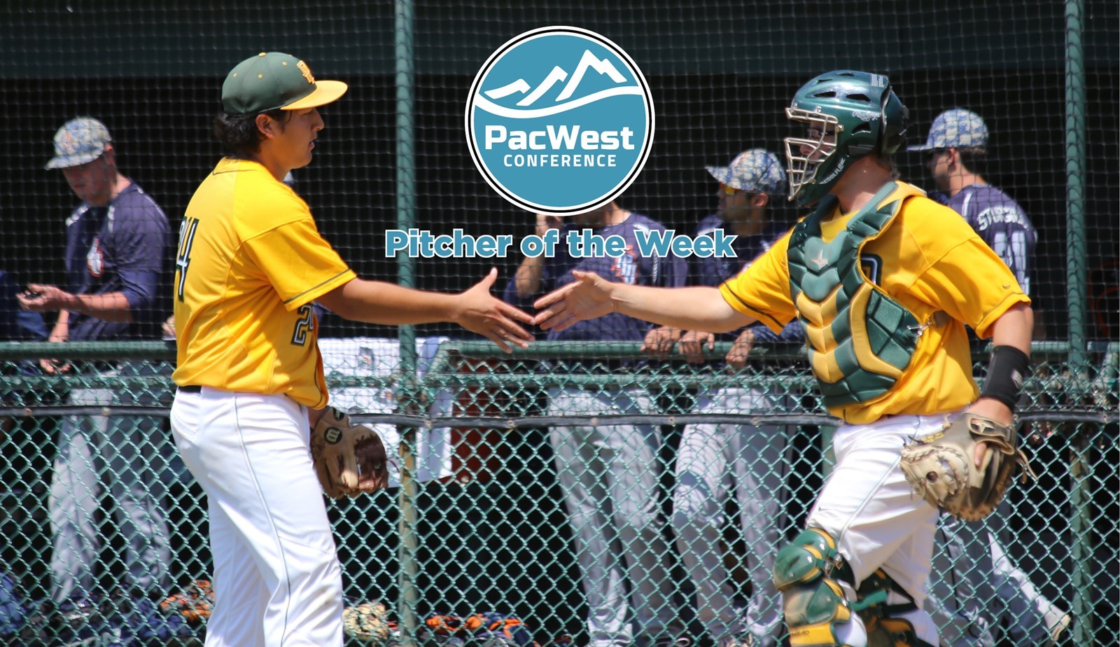 Sheppard picks up PacWest Pitcher of the Week award - PLNU Athletics