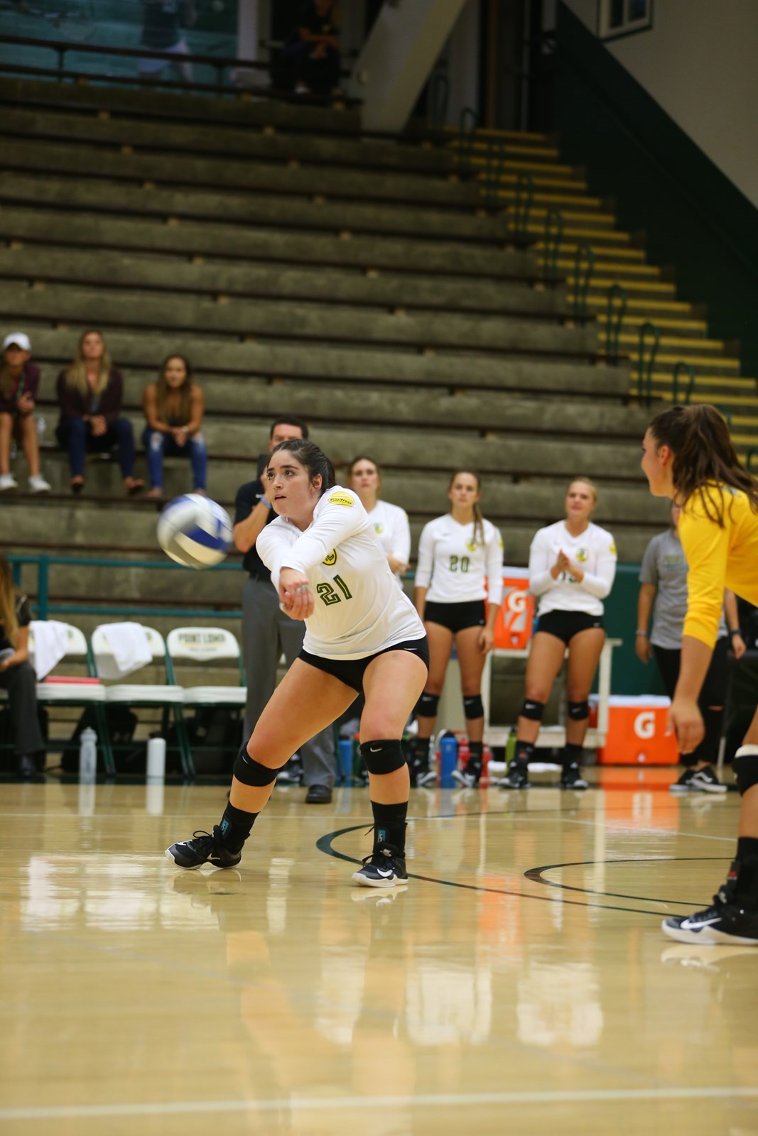 Megan Angerstein - Women's Volleyball - PLNU Athletics