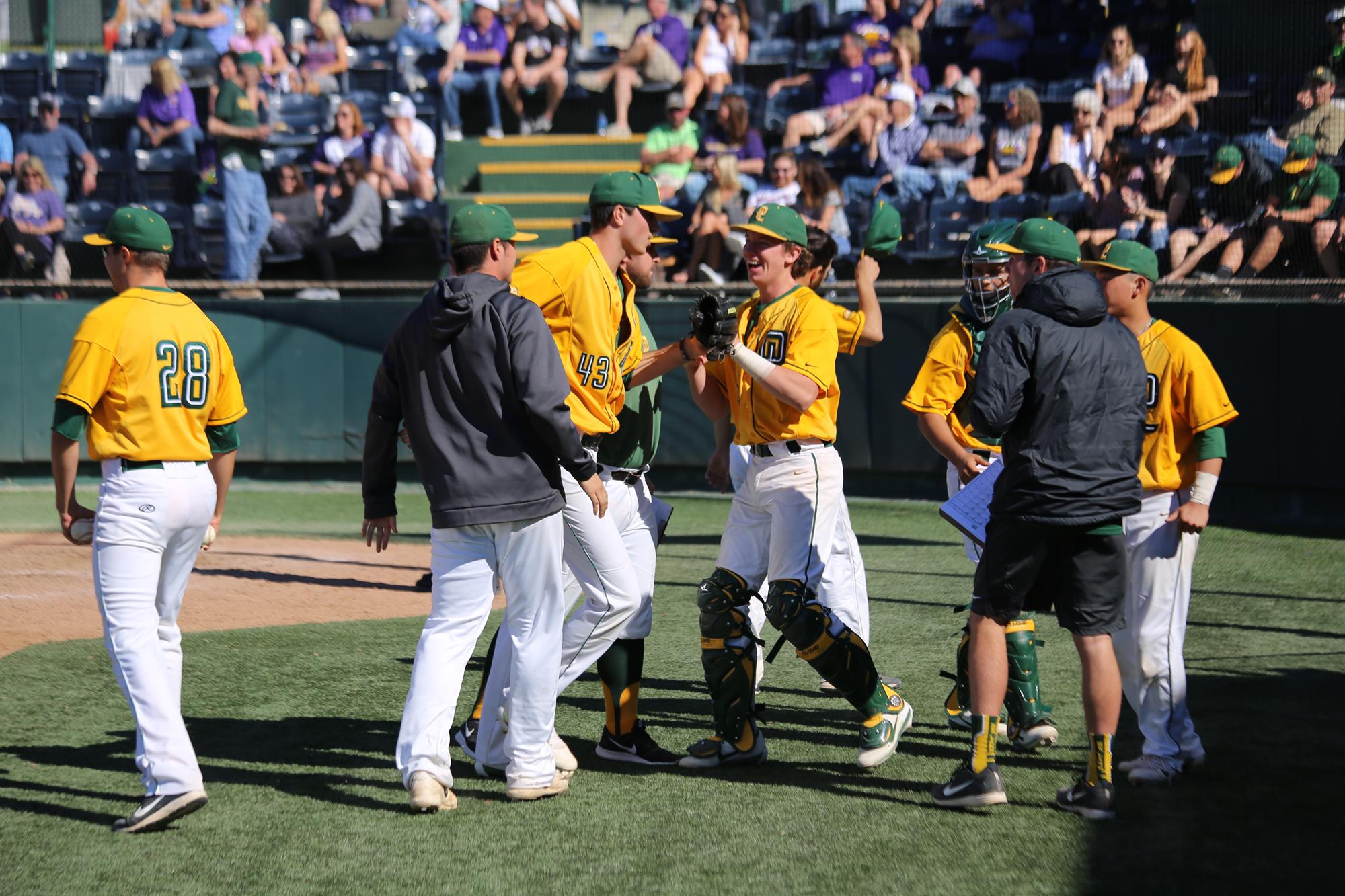 Tommy Paul - Baseball - PLNU Athletics