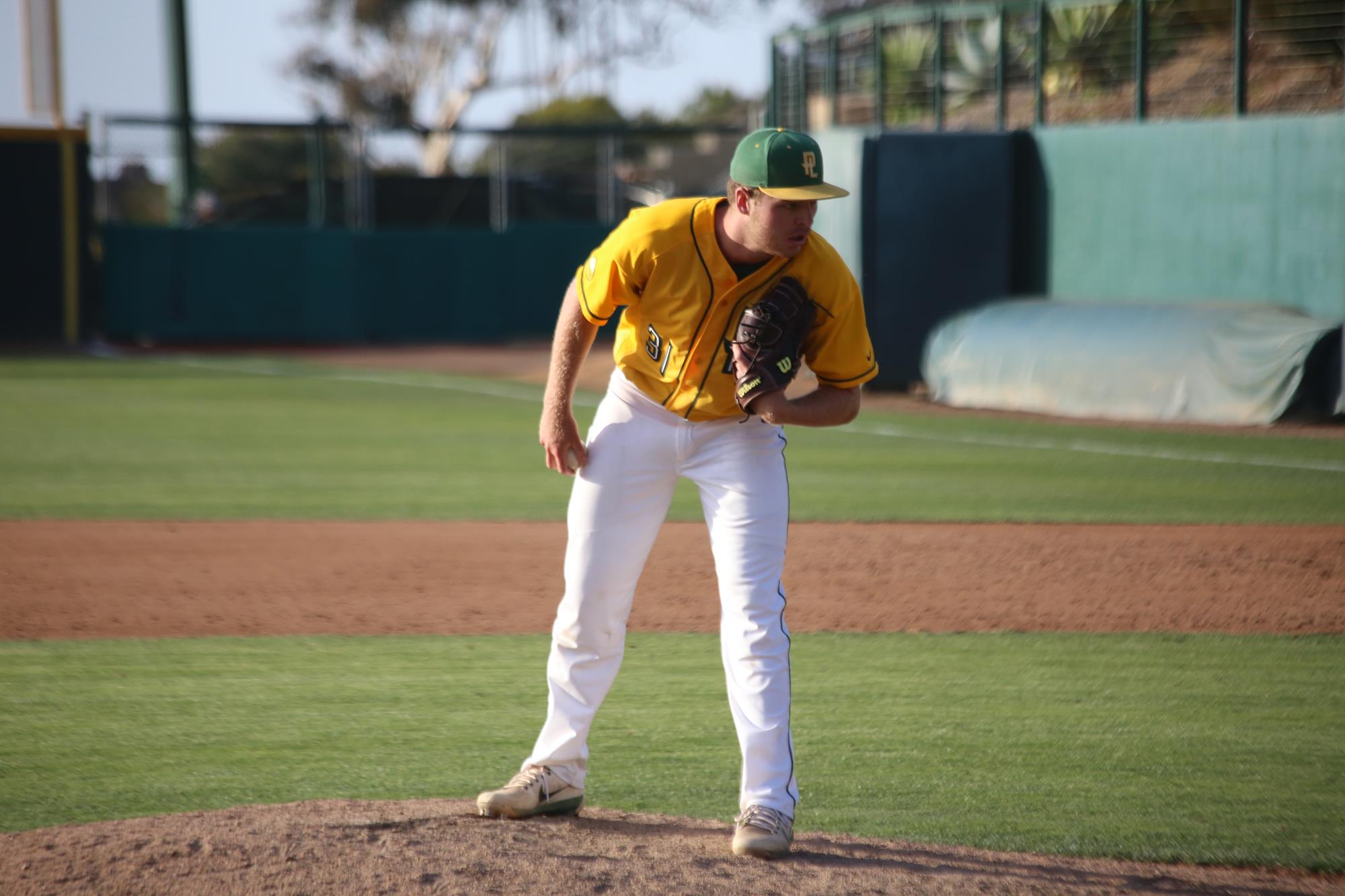 Nicholas Cornelius - Baseball - PLNU Athletics
