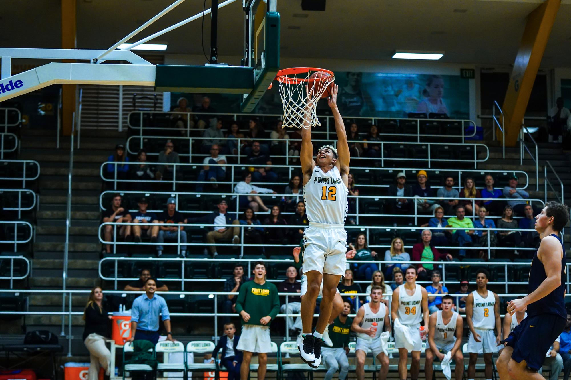 Josh Caston - Men's Basketball - PLNU Athletics