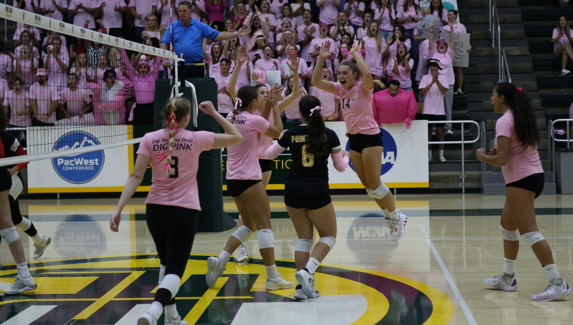 SEA LIONS SWEEP VULCANS ON DIG PINK NIGHT - PLNU Athletics
