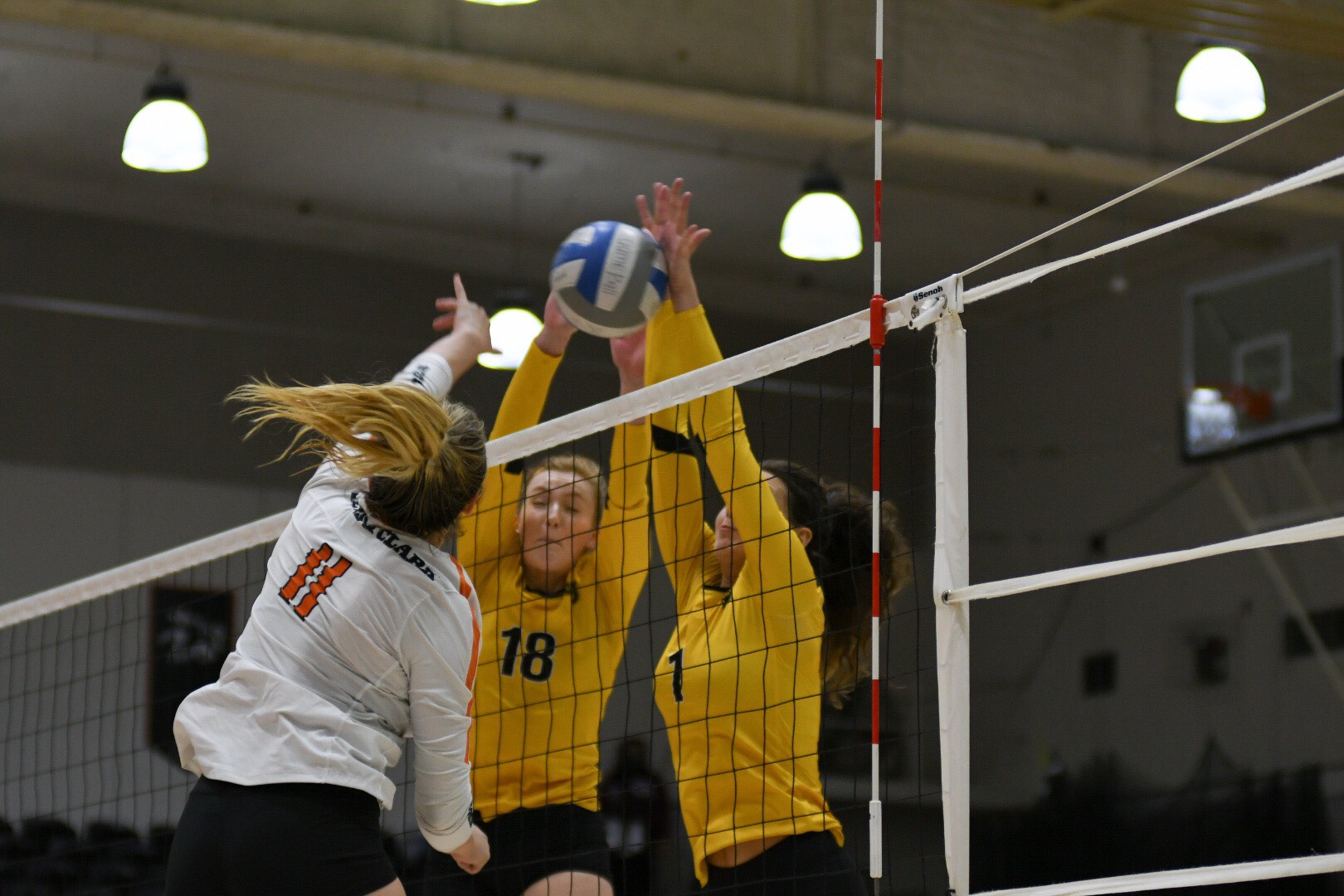 Mackenzie Harris - Women's Volleyball - Pacific Lutheran University ...