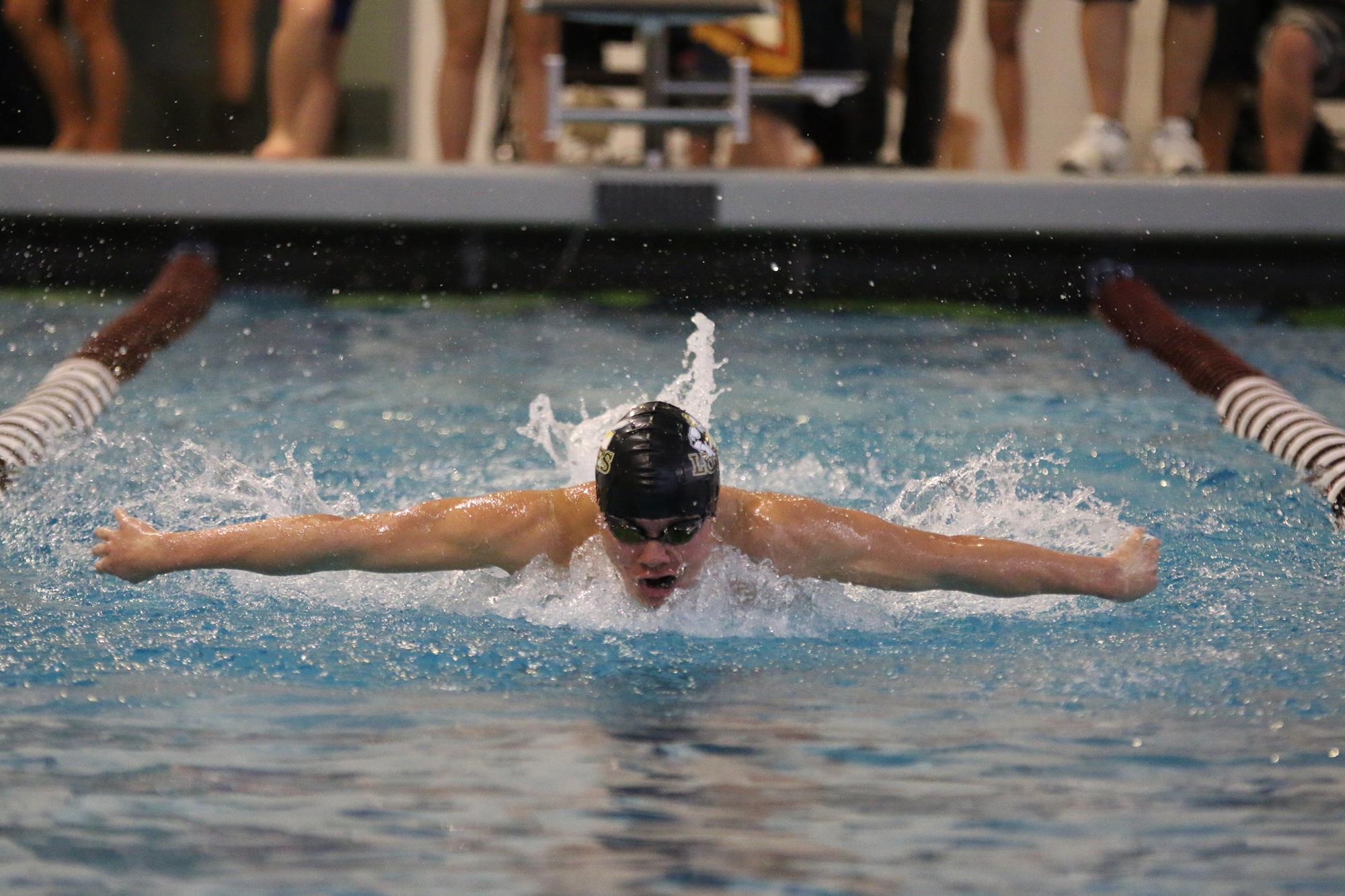 Men's Swim Edged 114-91 by Wildcats - Pacific Lutheran University Athletics