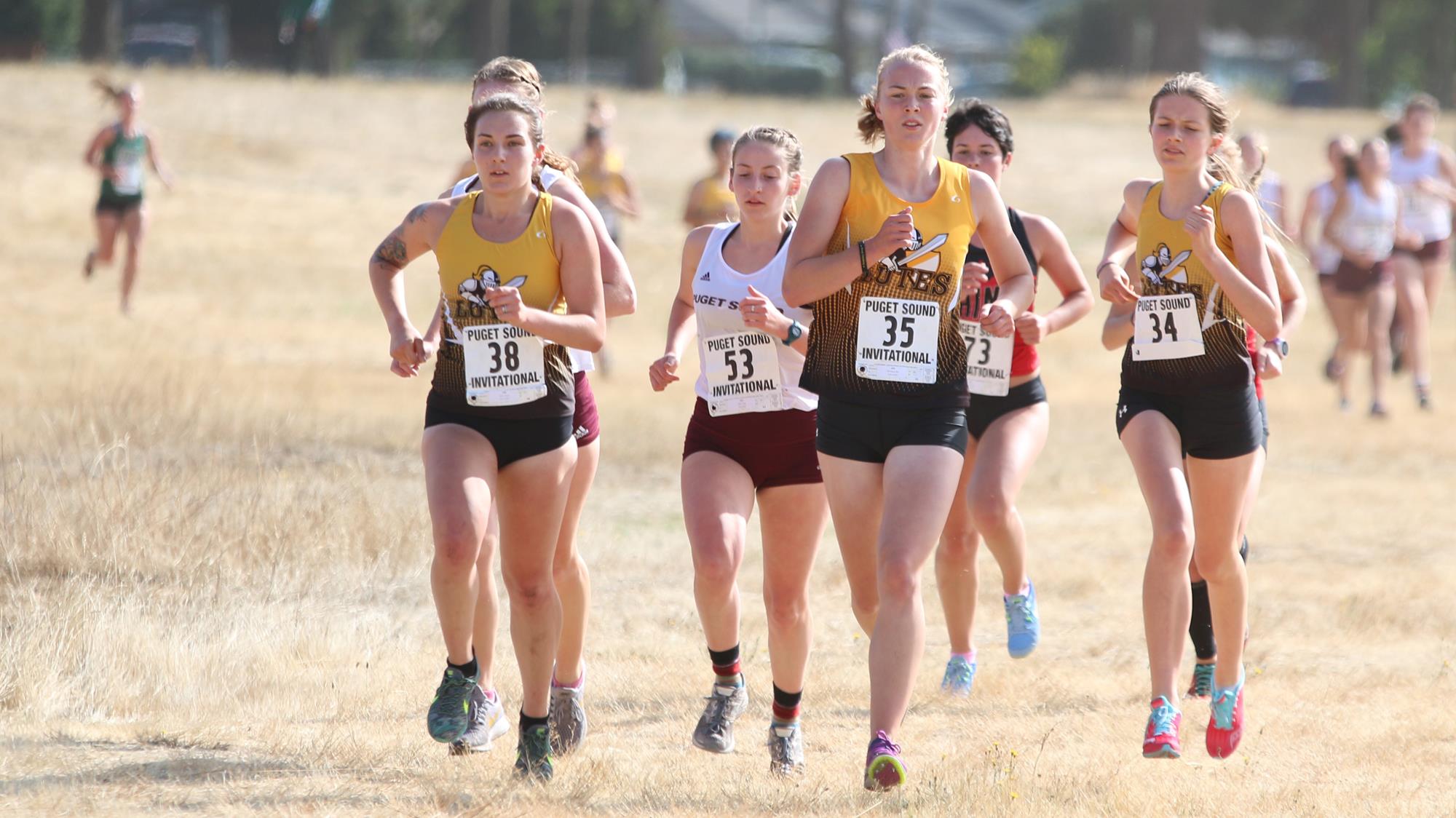 Krivanek Powers Lutes to Runner-up Finish at Season Opener - Pacific ...