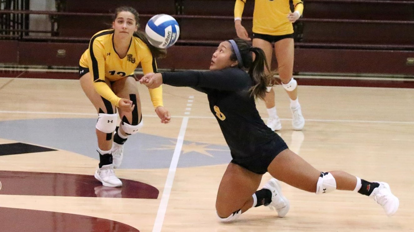 10th-Ranked Lutes Open NWC Play Friday inside Olson Gymnasium - Pacific ...