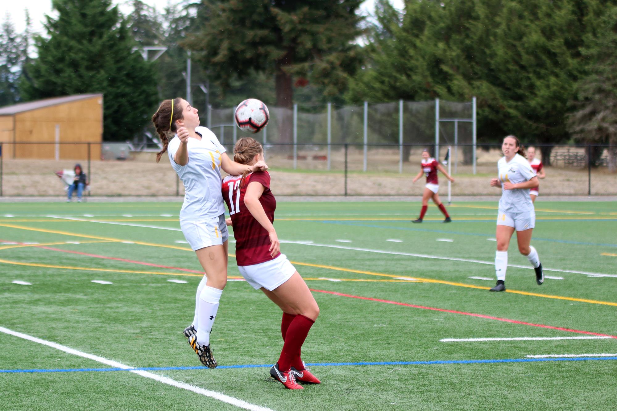 Danielle Lisk - Women's Soccer - Pacific Lutheran University Athletics