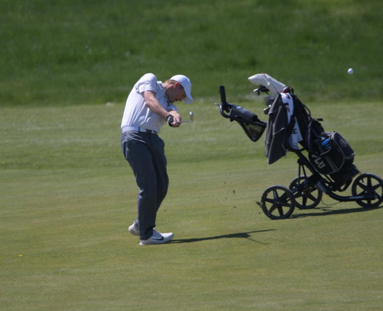 Austin Darnell - Men's Golf - Pacific Lutheran University Athletics