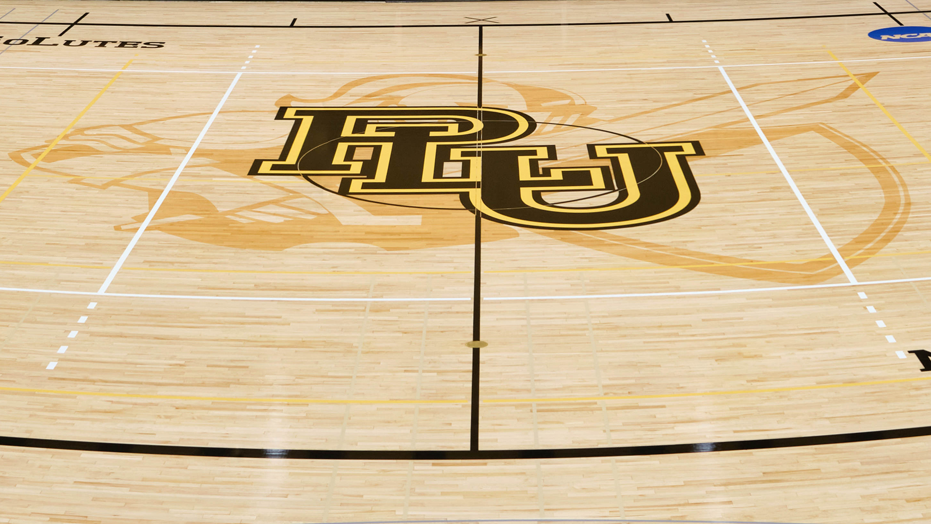 PLU Unveils New Floor in Olson Gym - Pacific Lutheran University Athletics