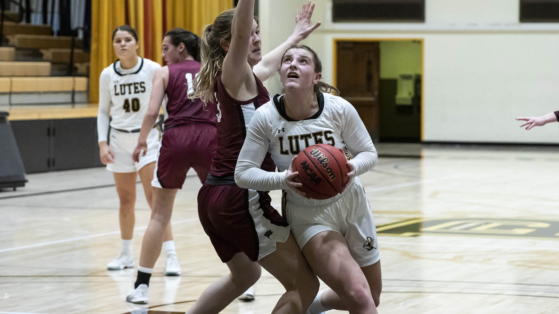 Young Lutes Battle in Season Opener - Pacific Lutheran University Athletics