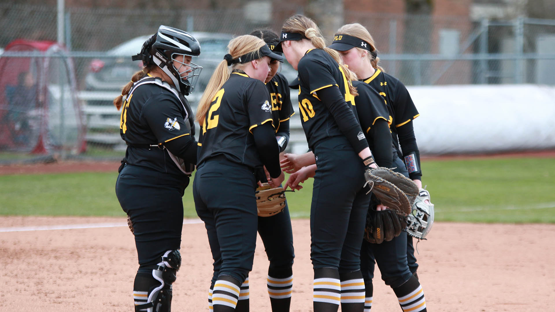 2021 Softball Season Preview - Pacific Lutheran University Athletics