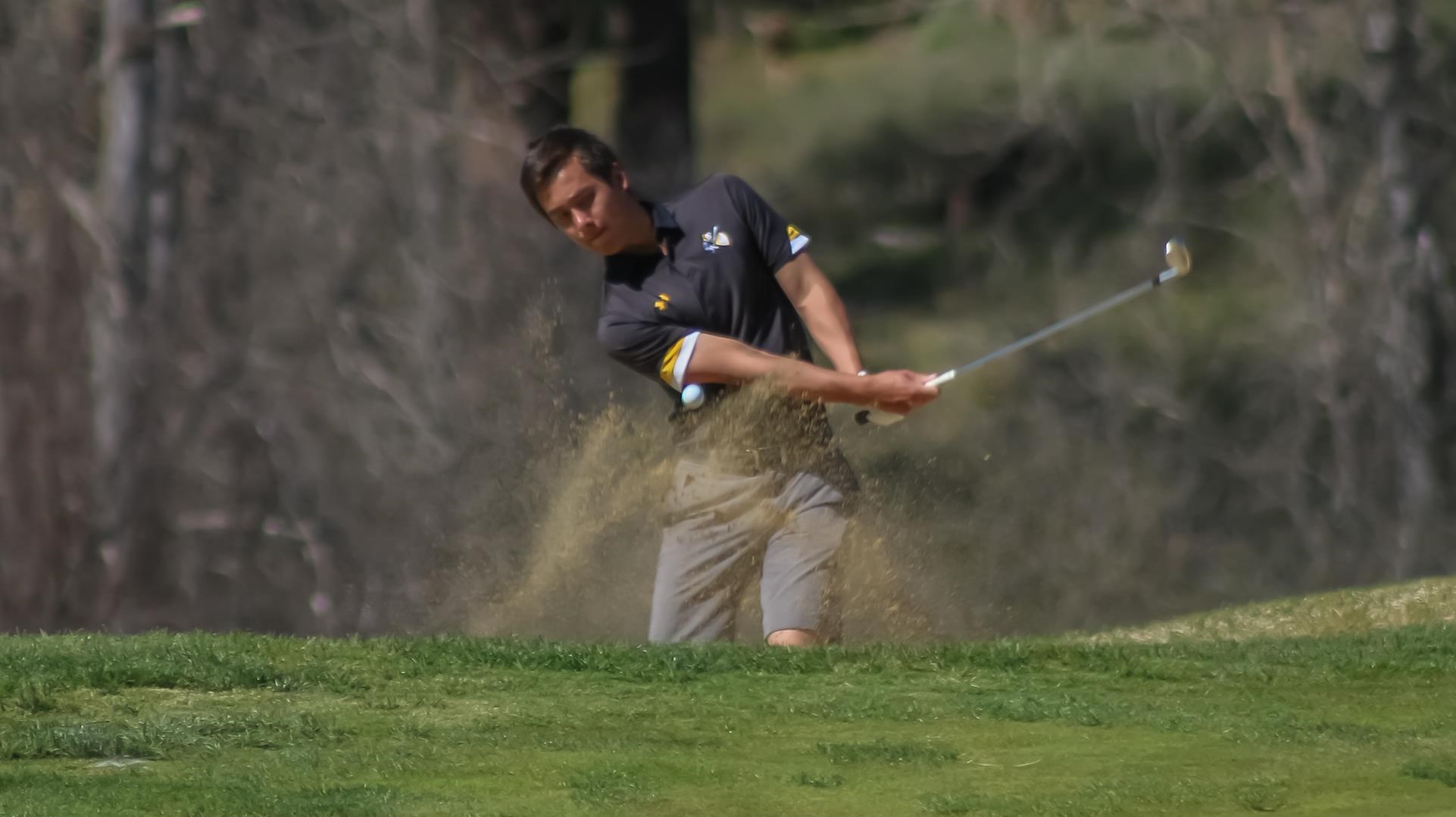 Jordan Lau - Men's Golf - Pacific Lutheran University Athletics