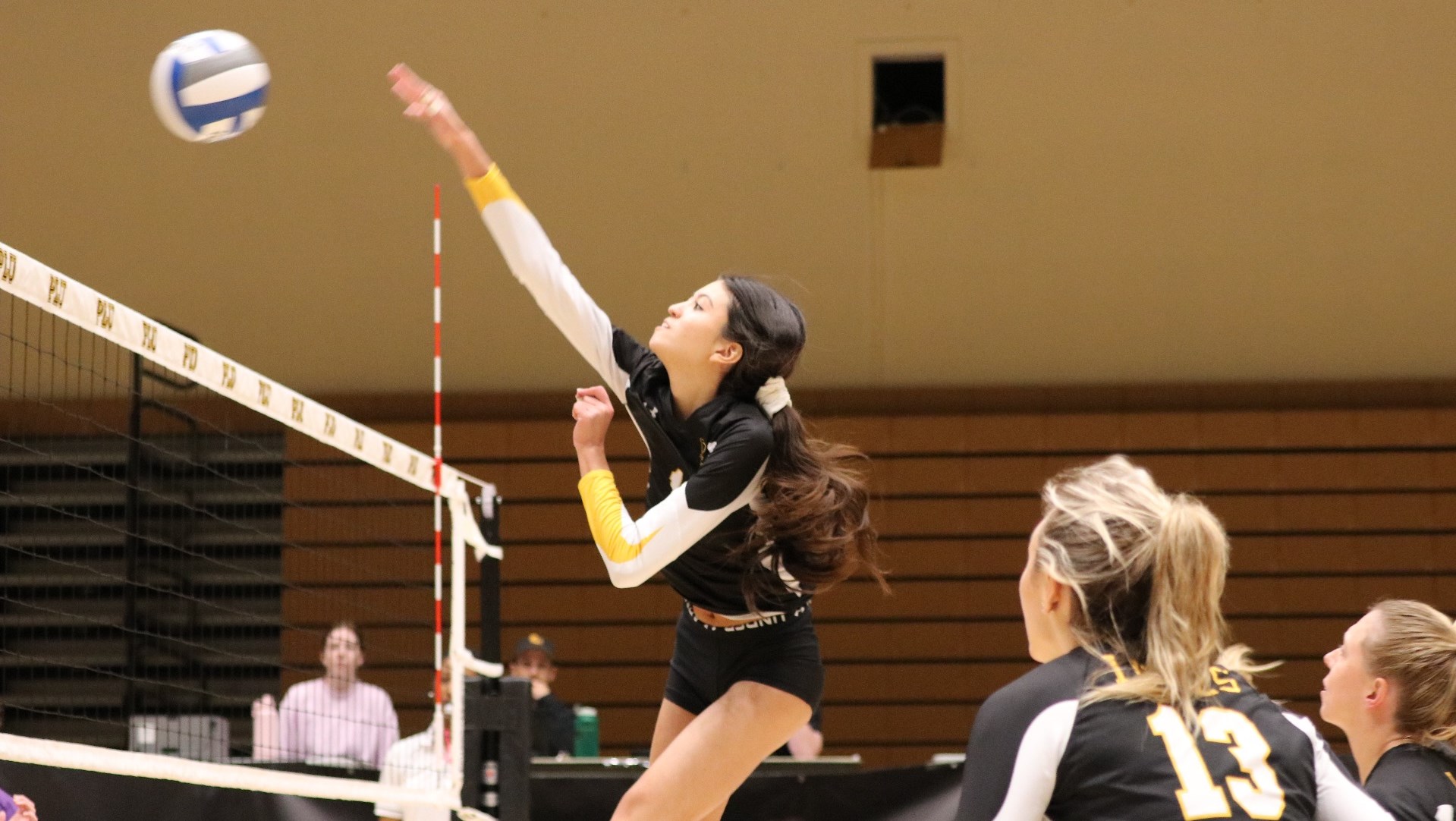 Hailey Iha - Women's Volleyball - Pacific Lutheran University Athletics