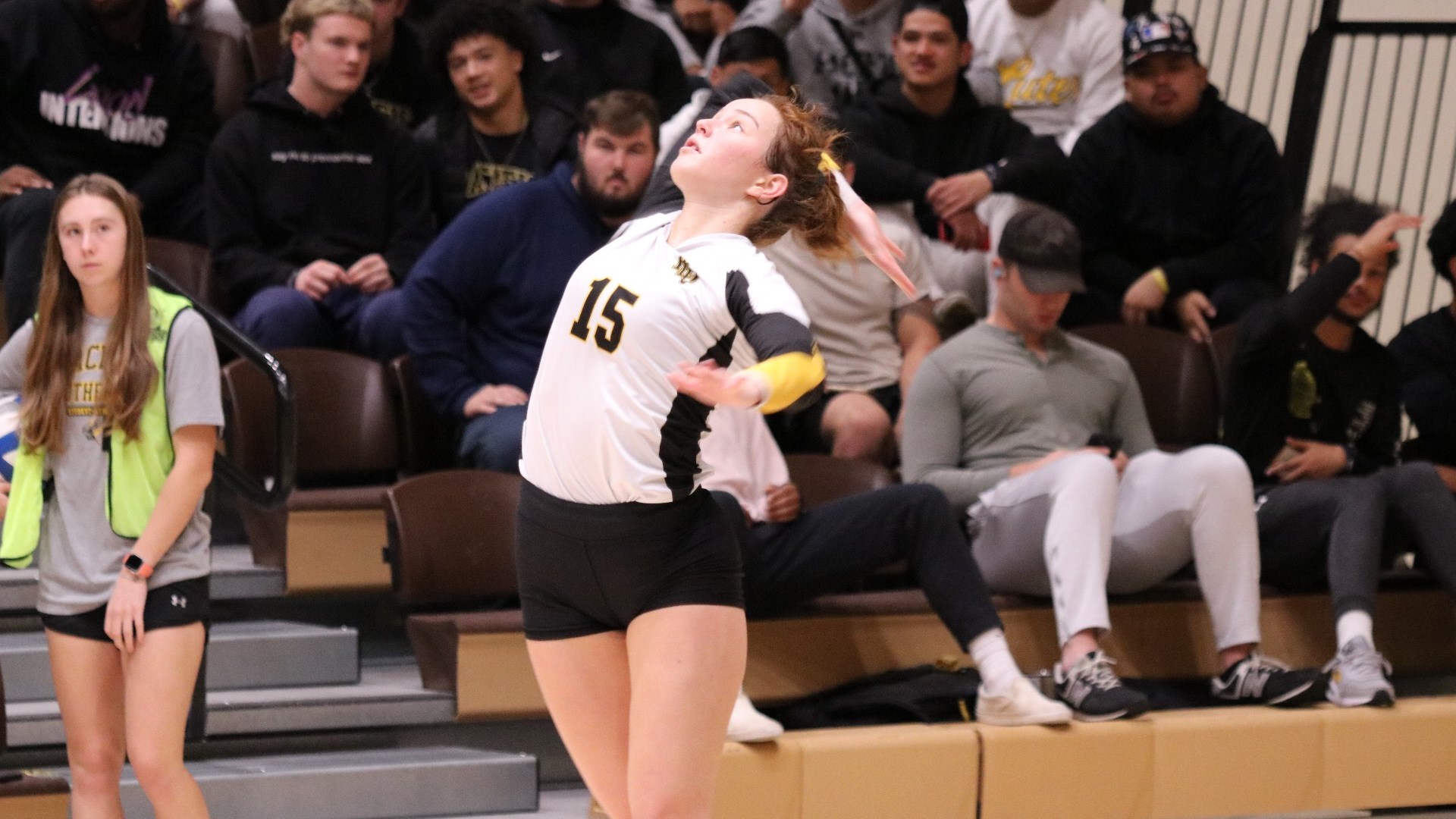 Halle Hetzler - Women's Volleyball - Pacific Lutheran University Athletics