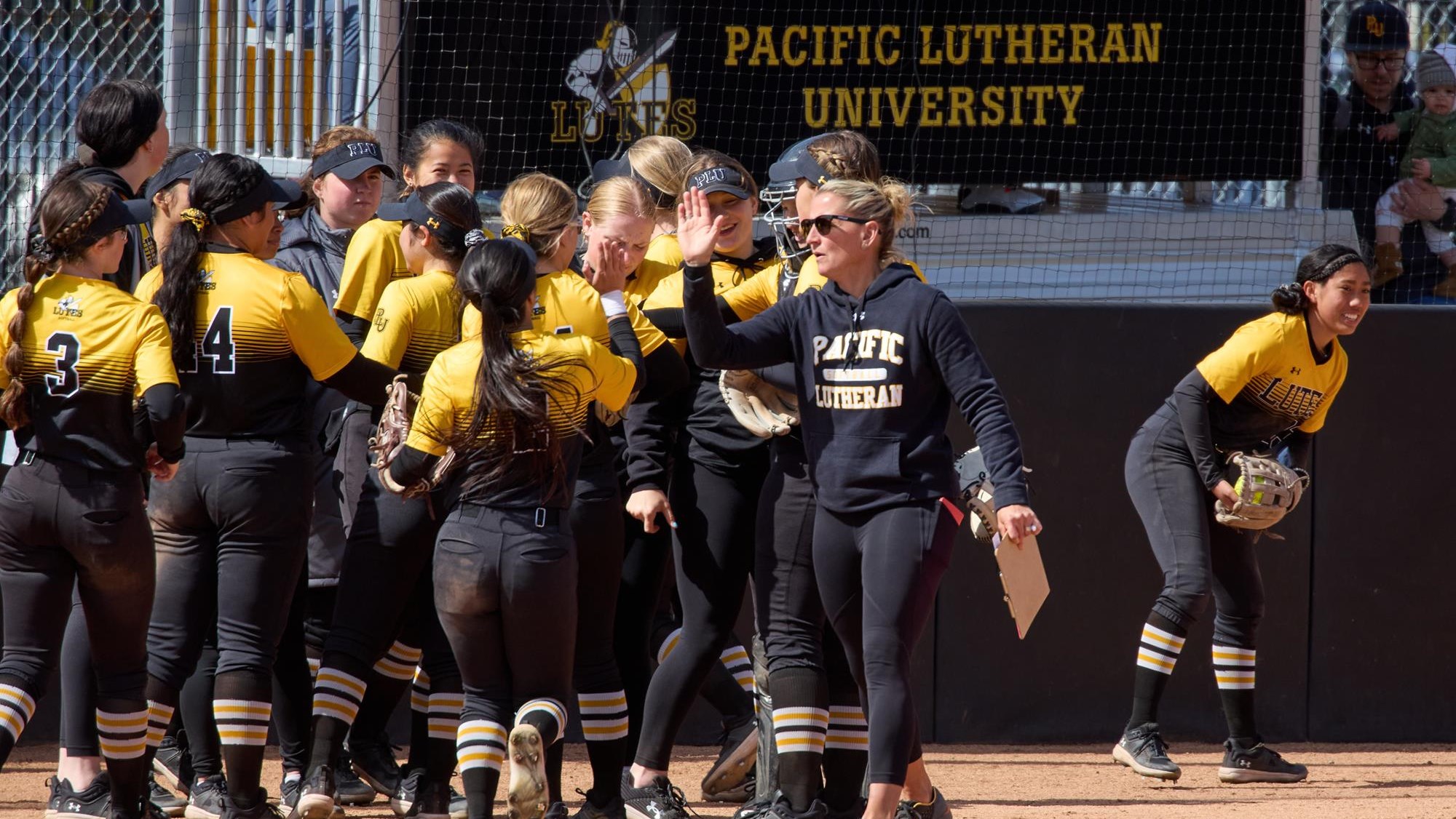 Lutes Softball at Caitlyn Lavater blog