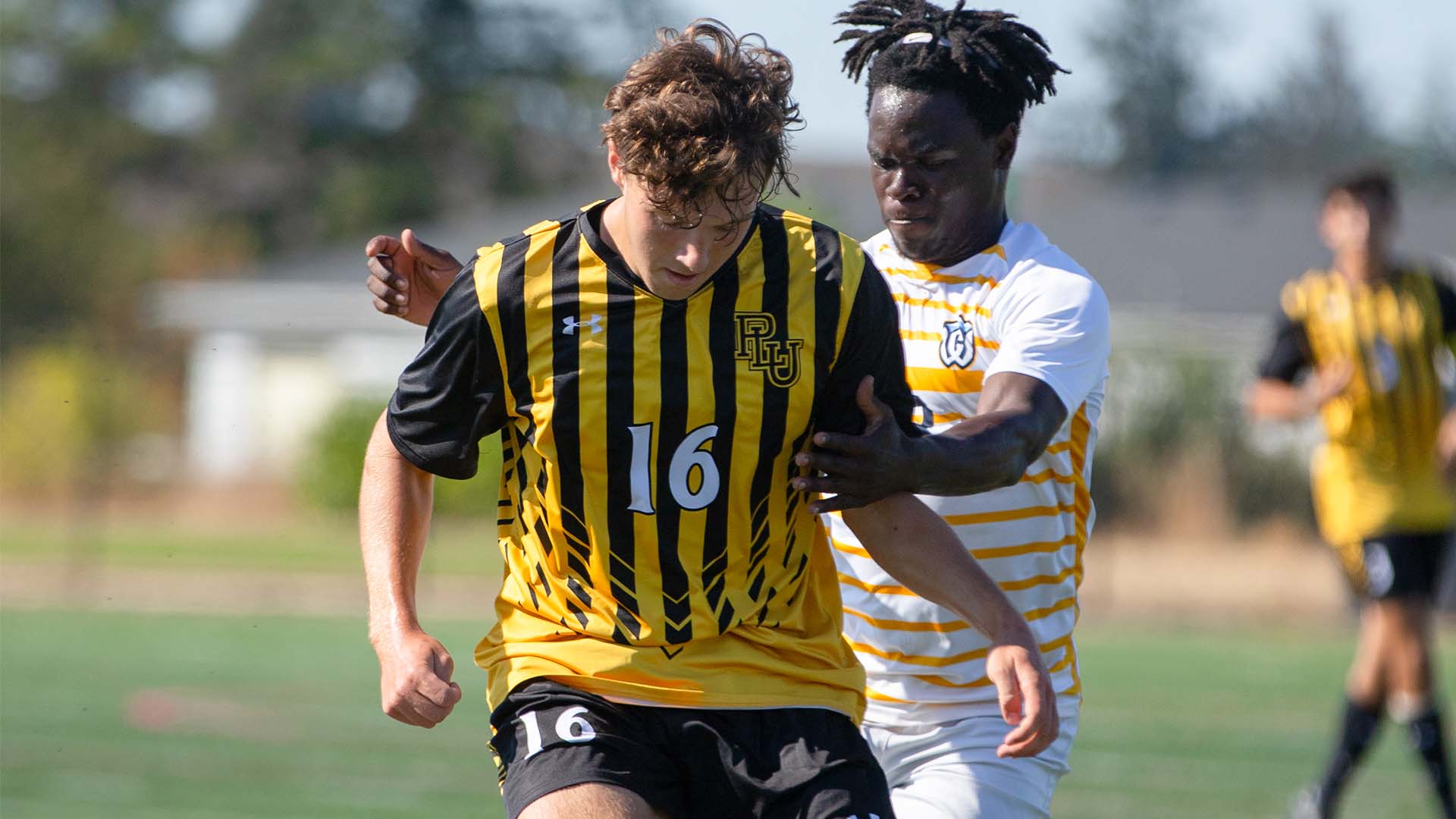 Thompson Tabbed NWC Offensive Player of the Week - Pacific Lutheran ...