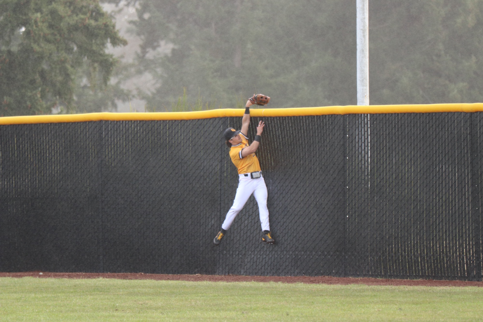 Andy Schmitz - Baseball - Pacific Lutheran University Athletics