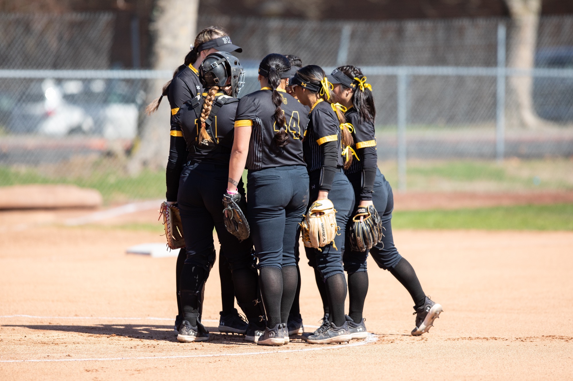 Softball Stumbles Against Nationally-Ranked Wildcats - Pacific Lutheran ...