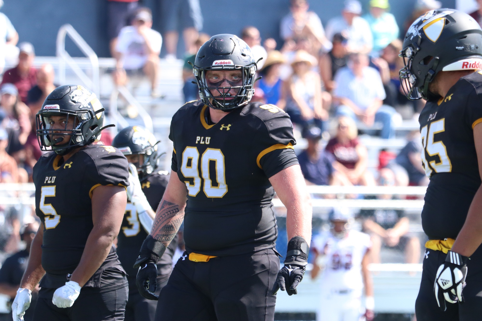 Plu Lutes Football Roster at Hayden Marr blog