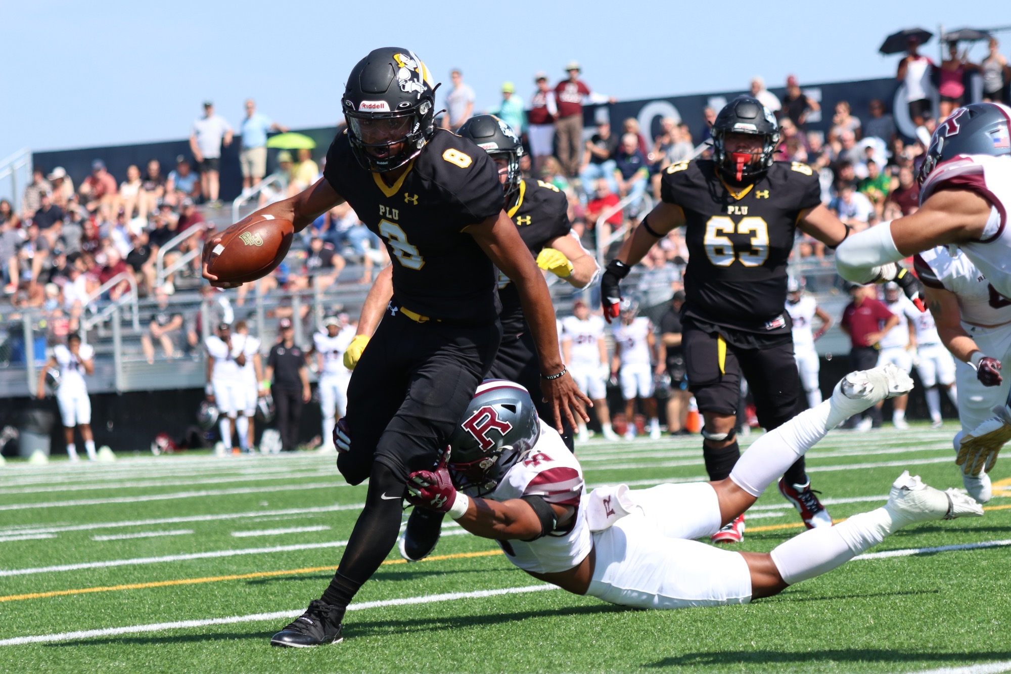 Bulldogs Rally Past Lutes 24-14 in Season Opener - Pacific Lutheran ...