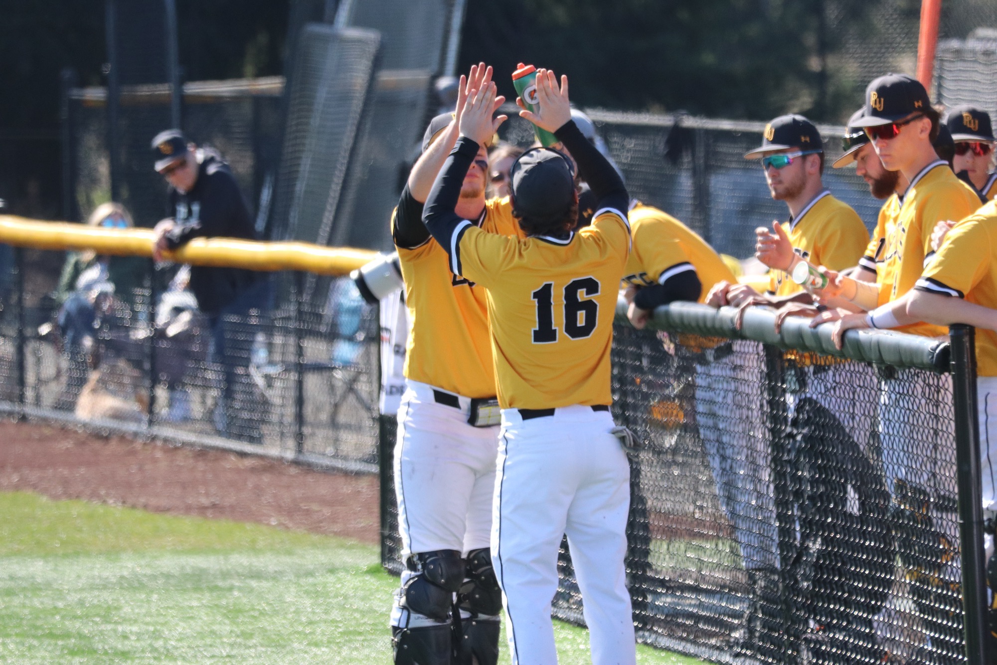 Rowan Amann - Baseball - Pacific Lutheran University Athletics