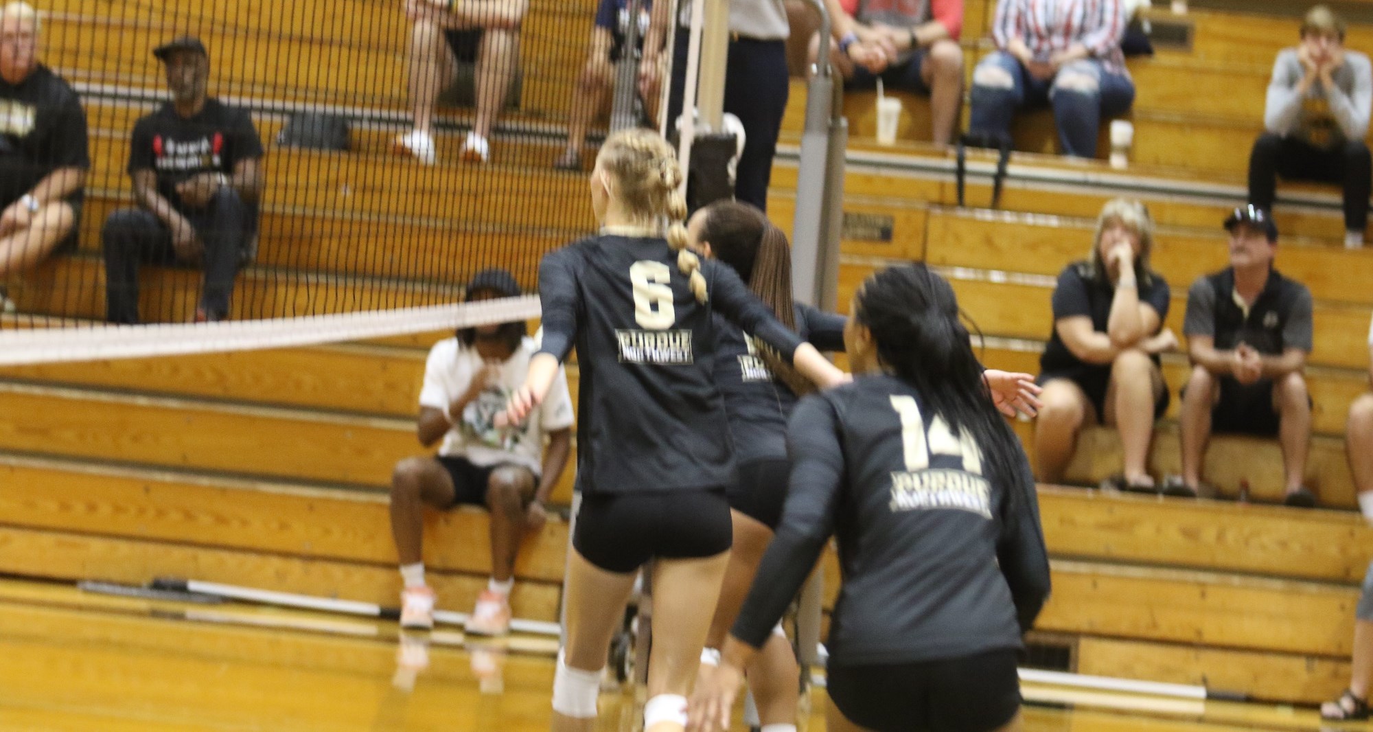 Volleyball suffers home loss to Davenport - Purdue University Northwest