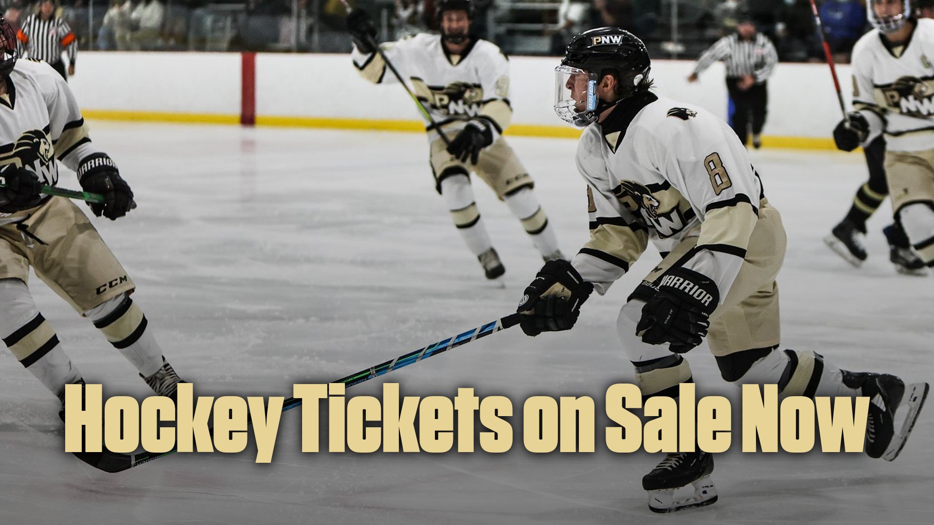 PNW releases hockey season pass & single-game ticket info - Purdue ...