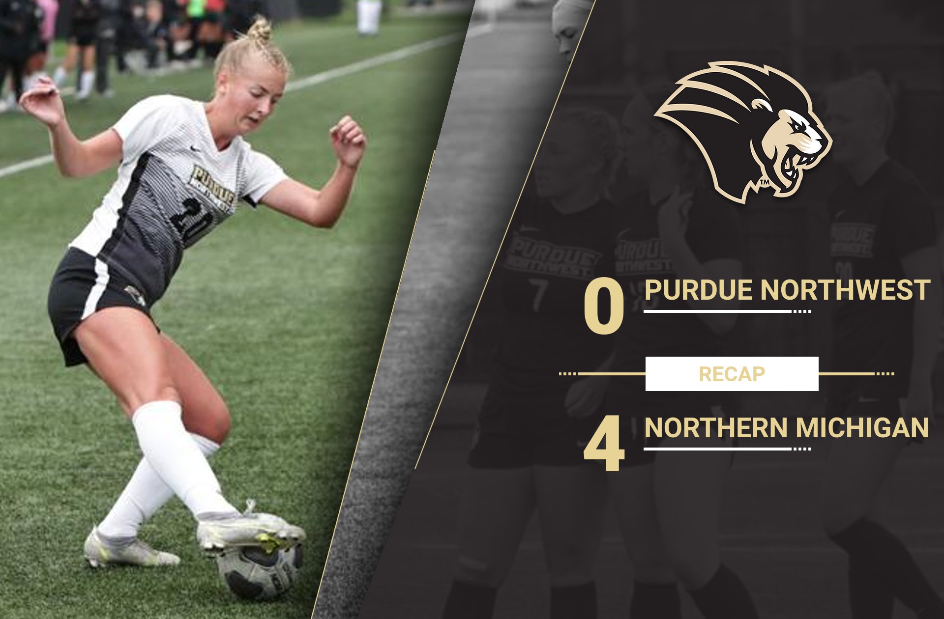 PNW Pride play the NMU Wildcats - Purdue University Northwest