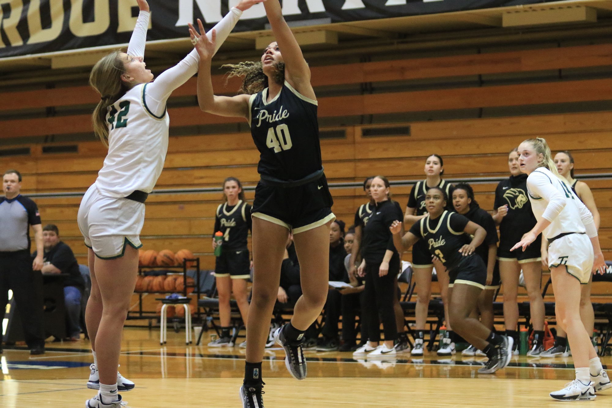 Women's Basketball falls in road game at Lewis - Purdue University ...