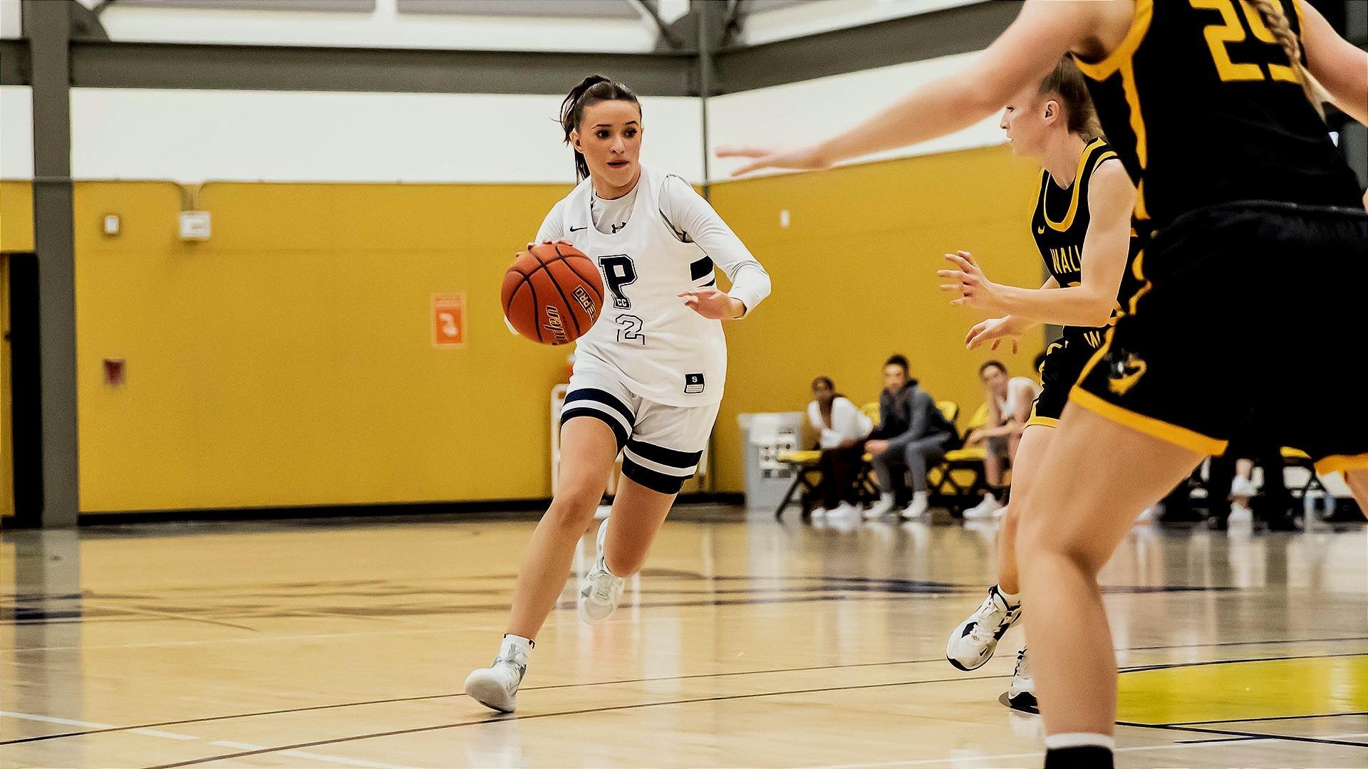 Ellie Haas - 2023-24 - Women's Basketball - Portland Community College