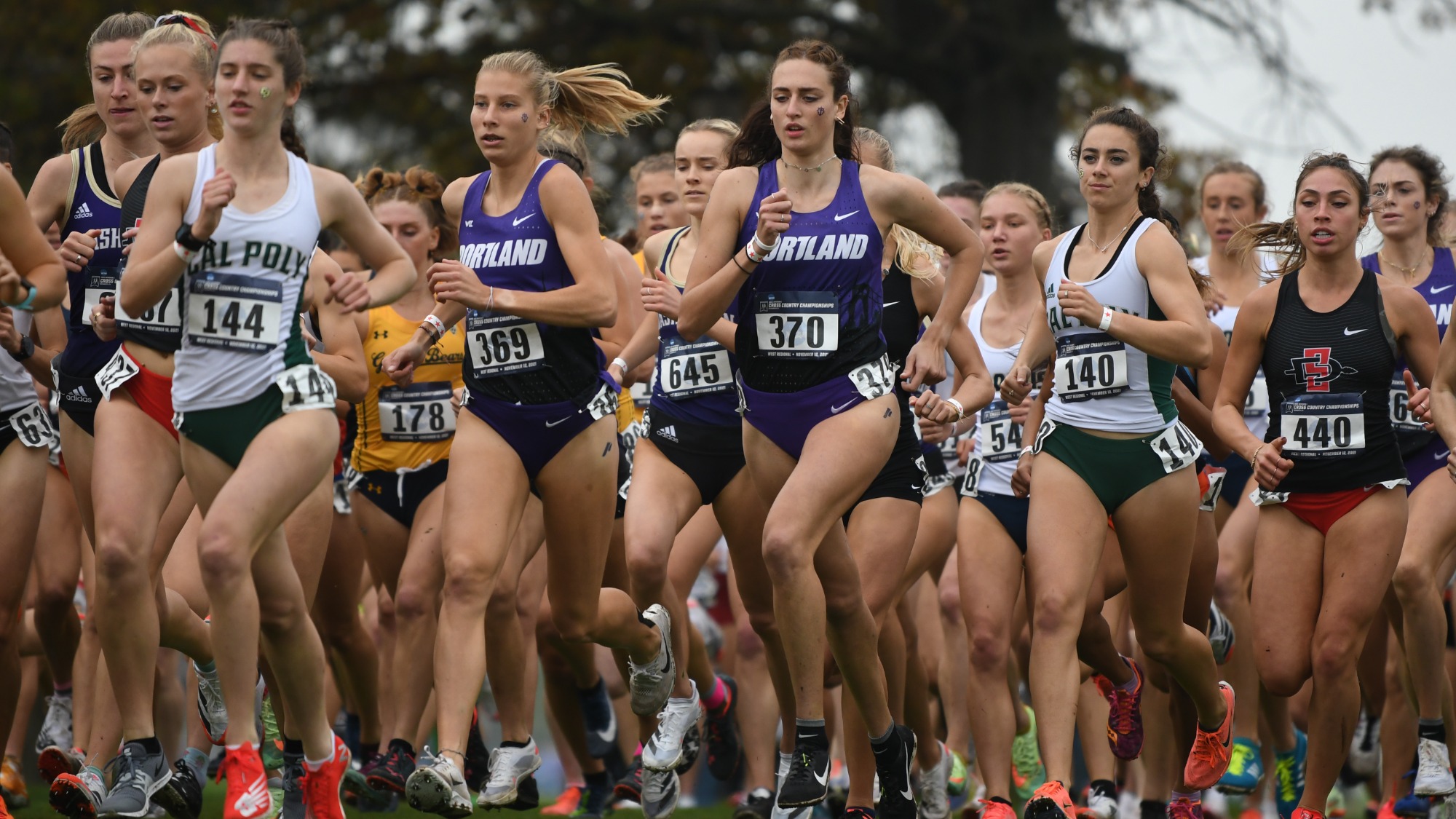Pellicoro Named WCC Cross Country Runner of the Week - University of ...