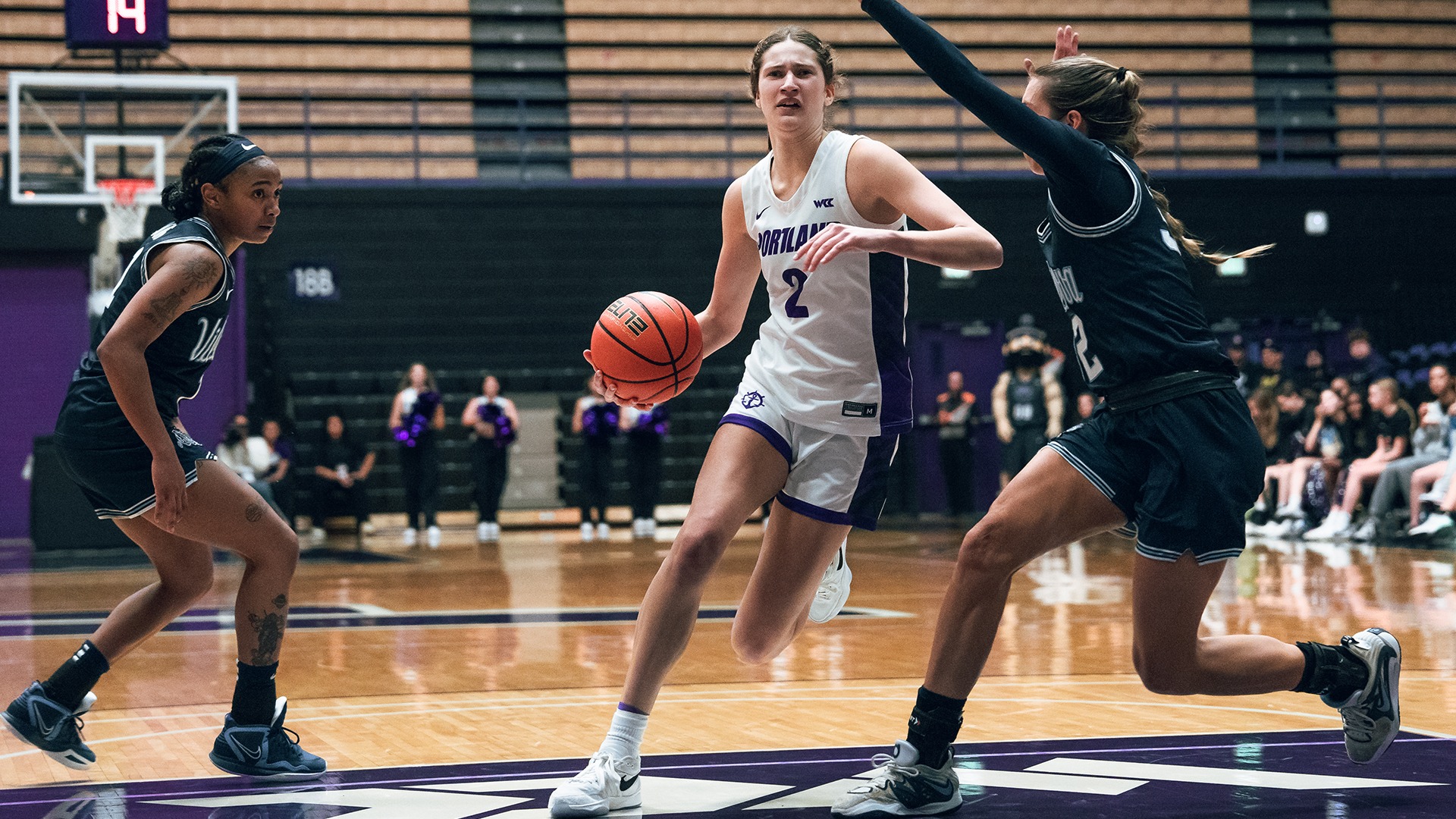 Ananiev Wins WCC Freshman of the Week for Second Time - University of Portland Athletics