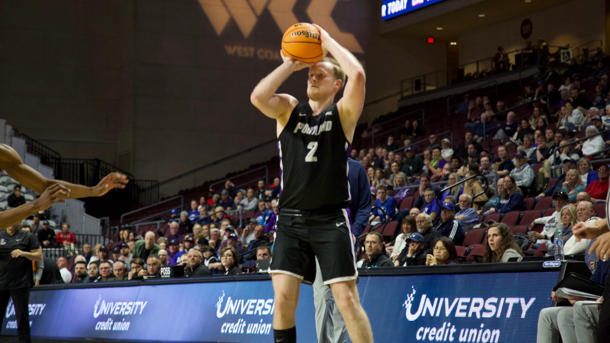 Tyler Robertson - Men's Basketball - University of Portland Athletics