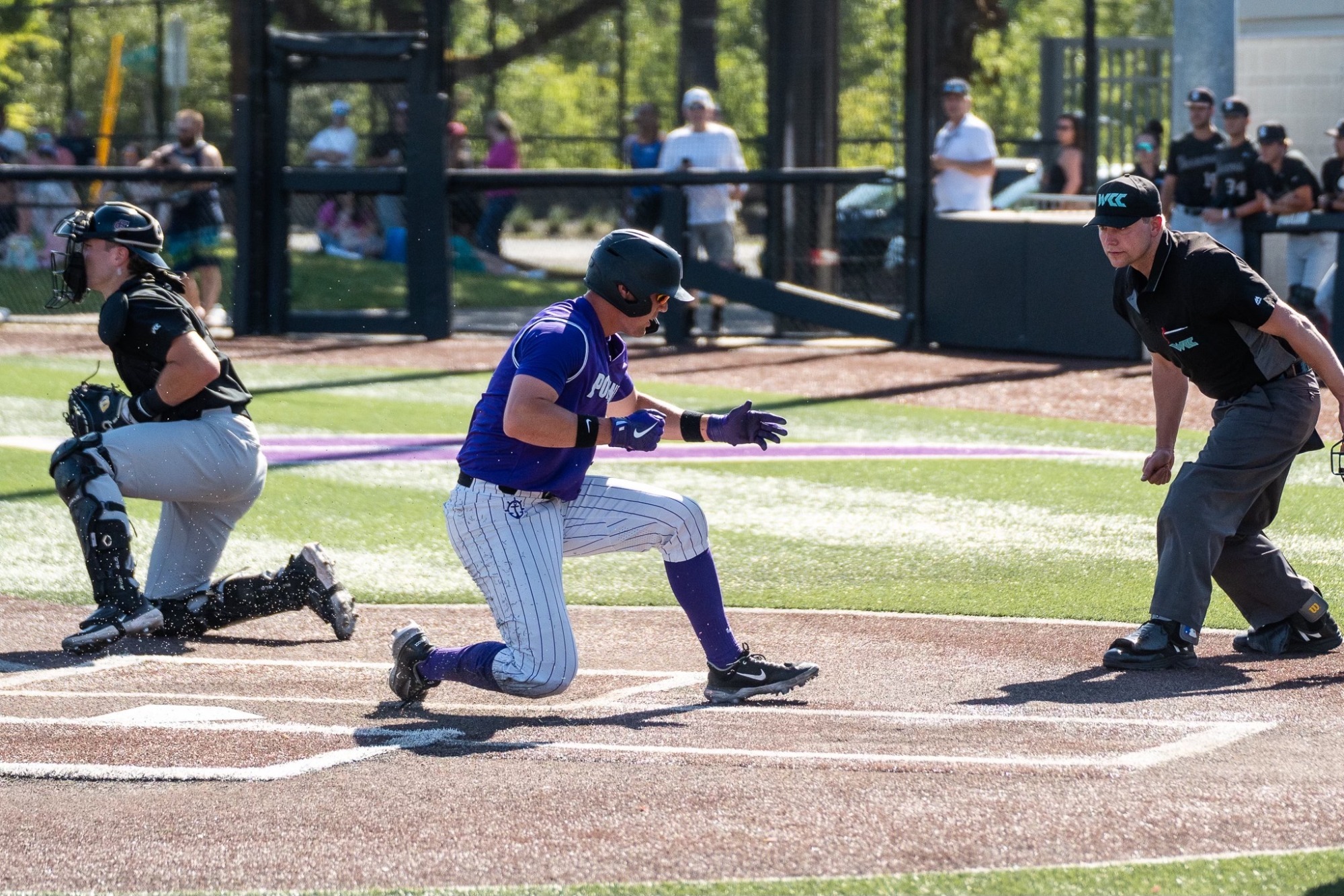 Evan Scavotto - Baseball - University of Portland Athletics