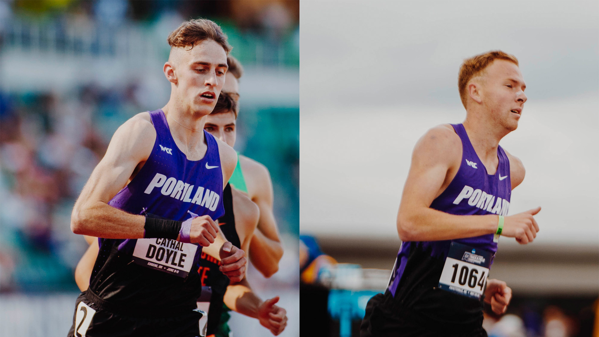 Doyle and Strangio Qualify for NCAA Championships - University of ...