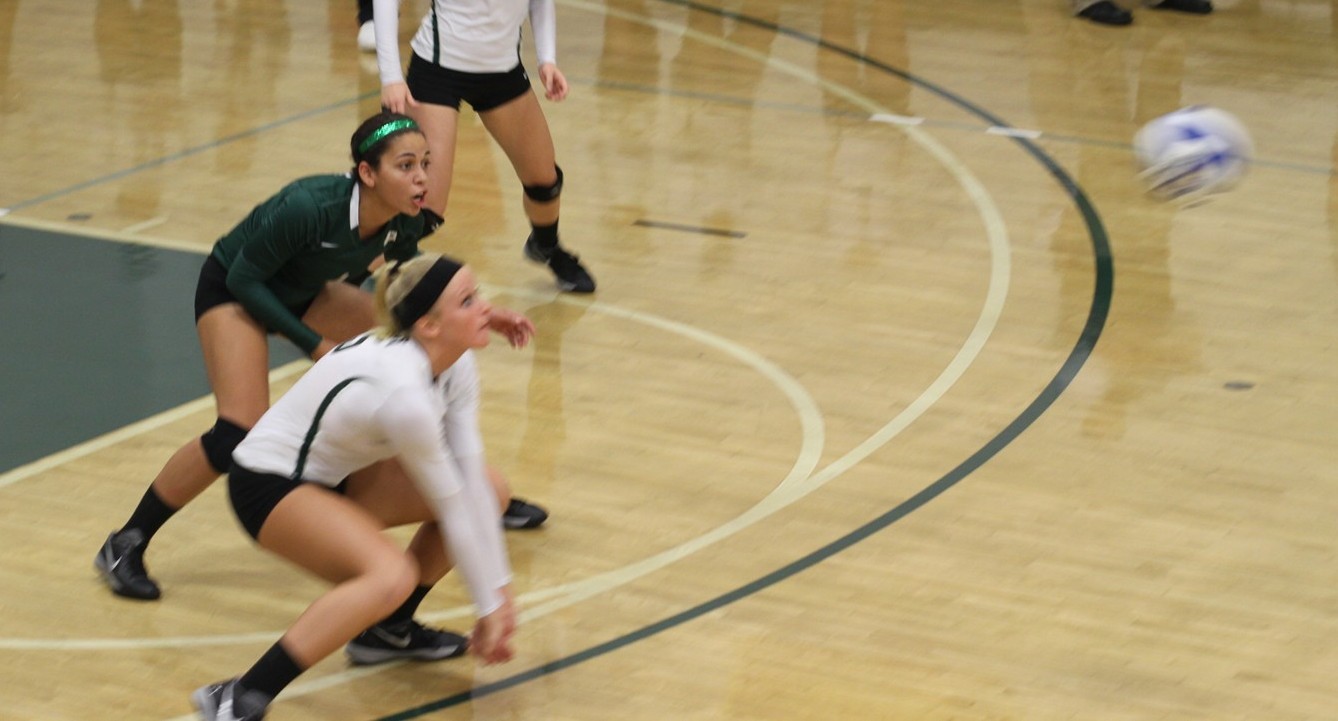 Hailey Griffin - Women's Volleyball - Post University Athletics