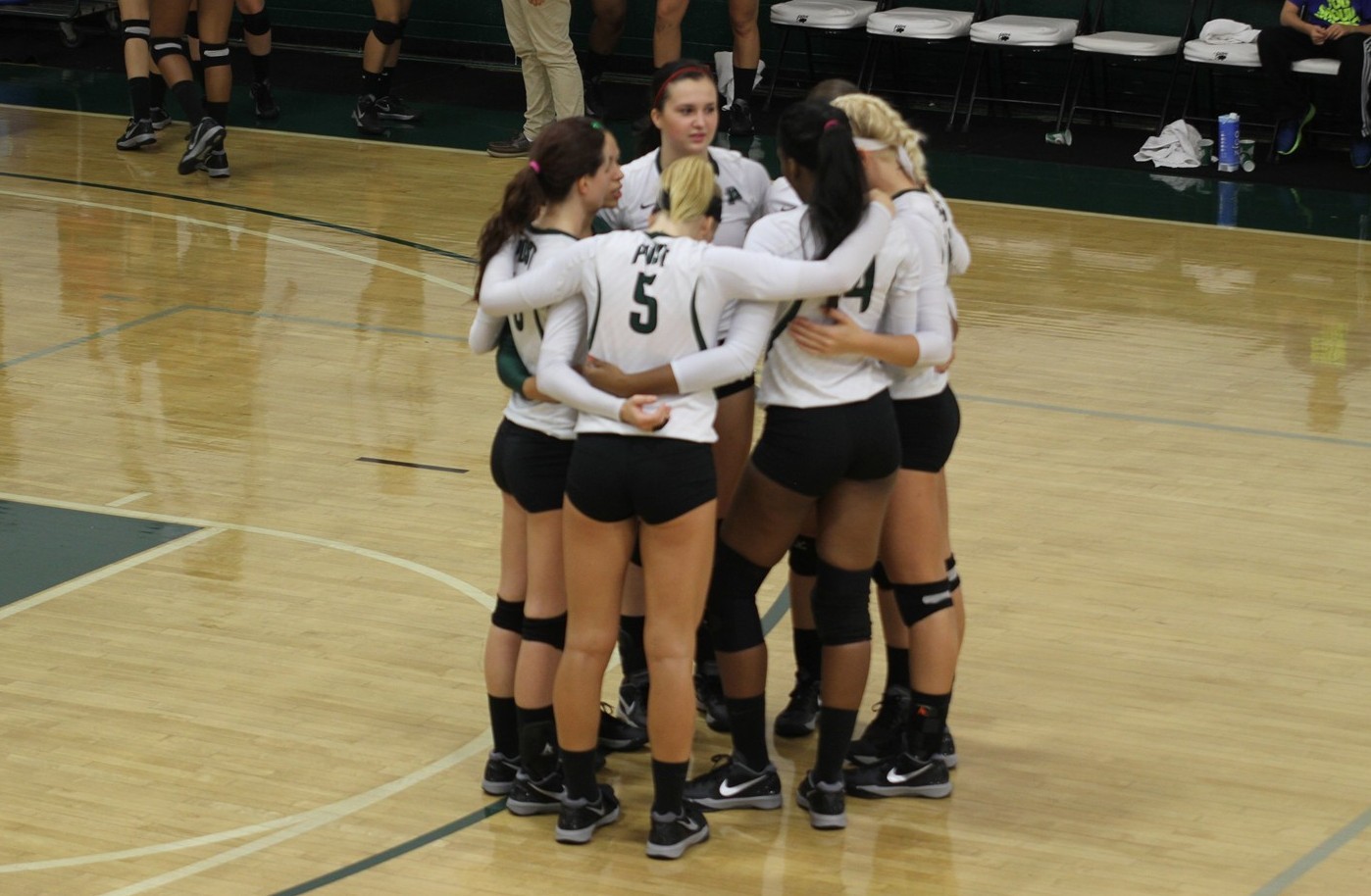 Hailey Griffin - Women's Volleyball - Post University Athletics