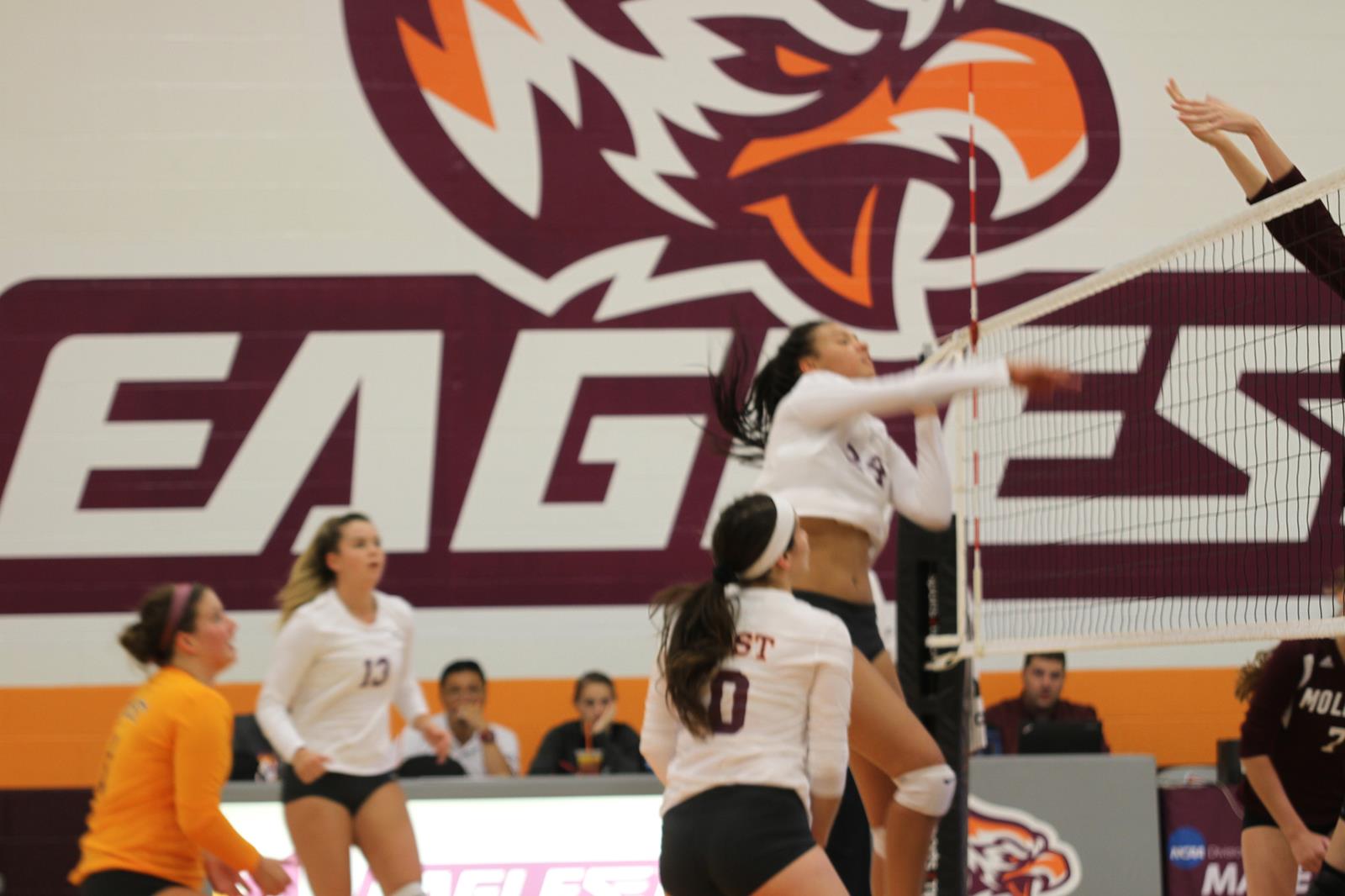 Sarah Seger - Women's Volleyball - Post University Athletics