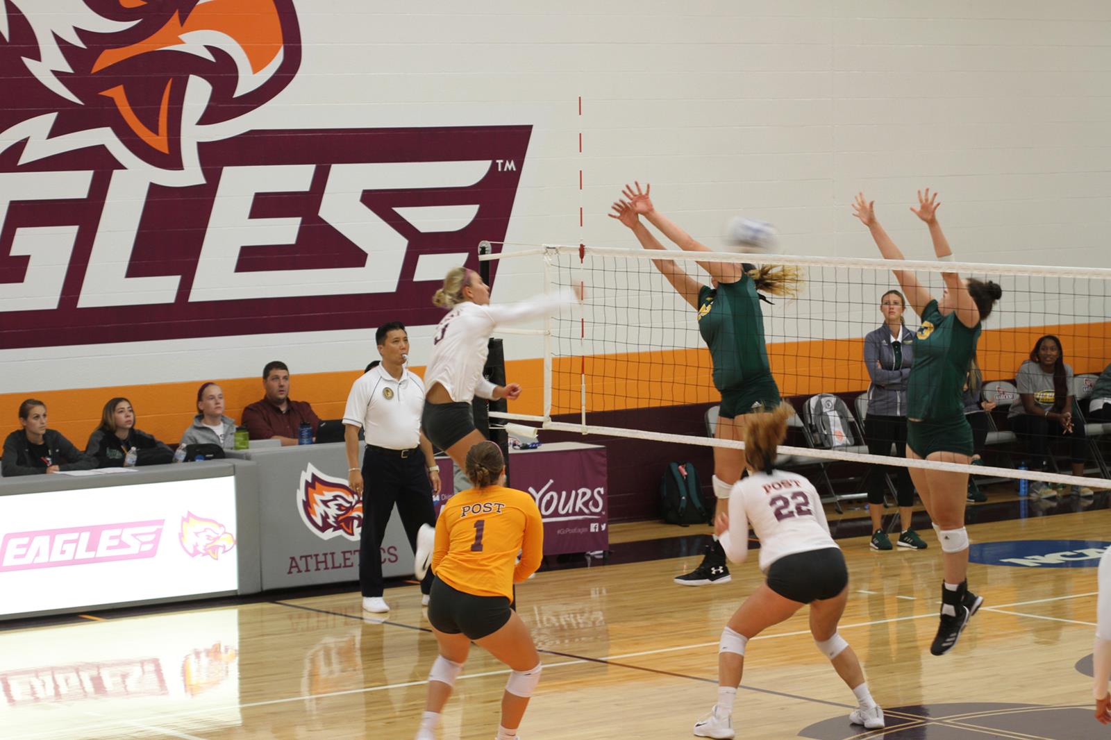 Kerrin Kallmann - Women's Volleyball - Post University Athletics