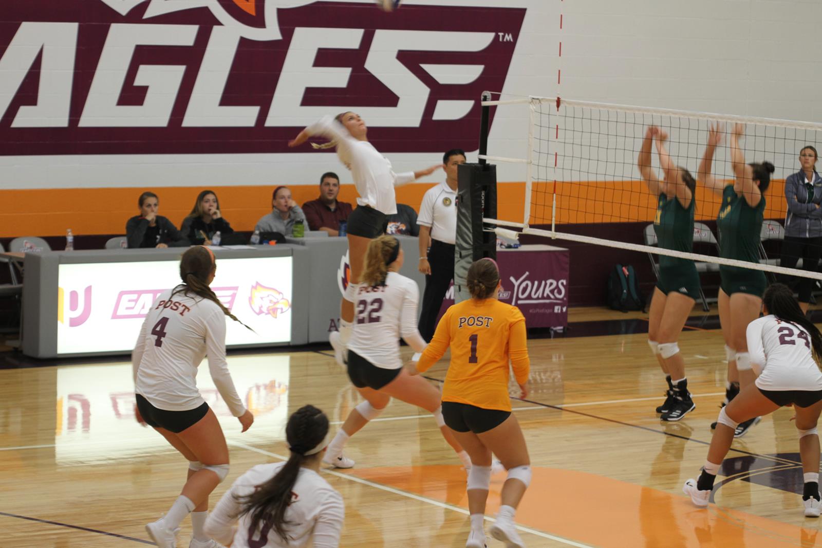 Kerrin Kallmann - Women's Volleyball - Post University Athletics