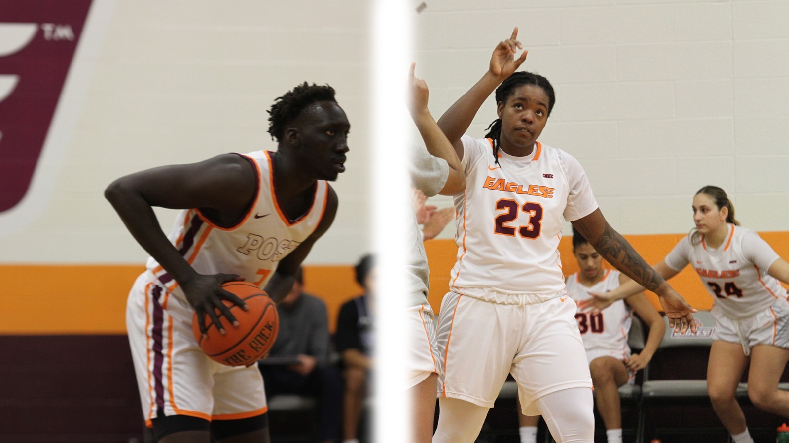 Trinity Bravo and Deng Deang Earn CACC Honor Roll Recognition for Post ...