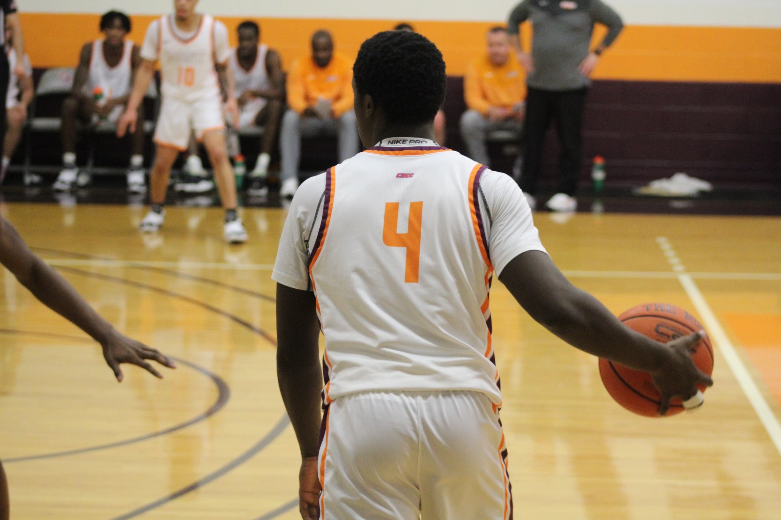 Chase Lapworth - Men's Ice Hockey - Post University Athletics