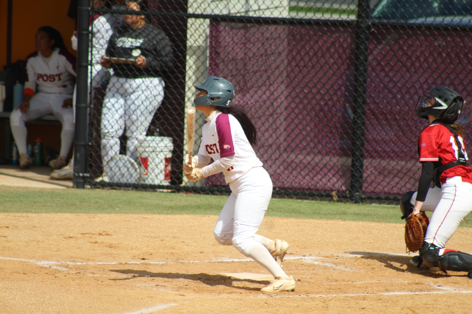 DeAngelis Has Five Hits In Softball Split With AIC - Post University ...