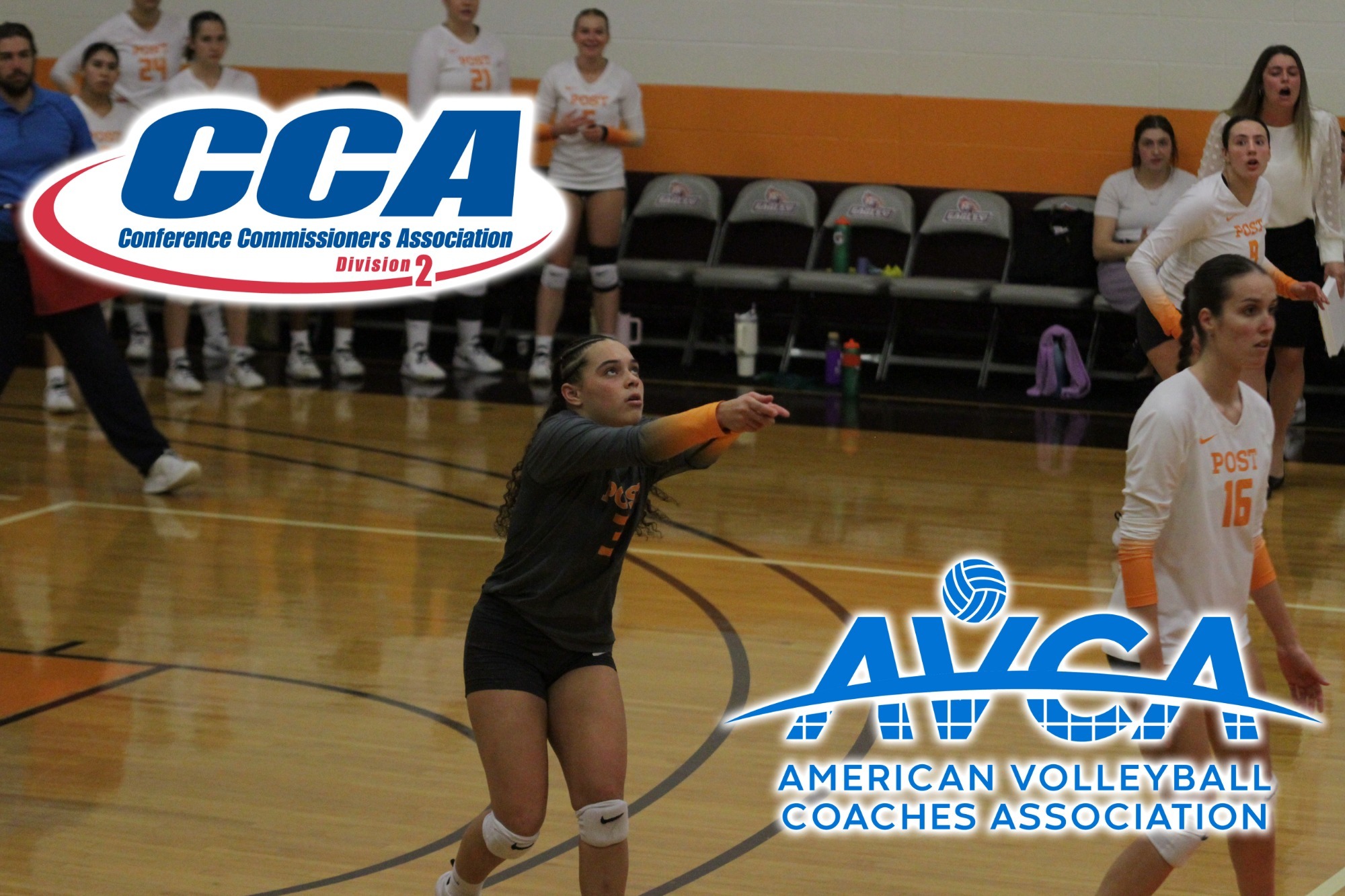 Alyssa Groves Makes History, First-Ever from Women's Volleyball Named ...