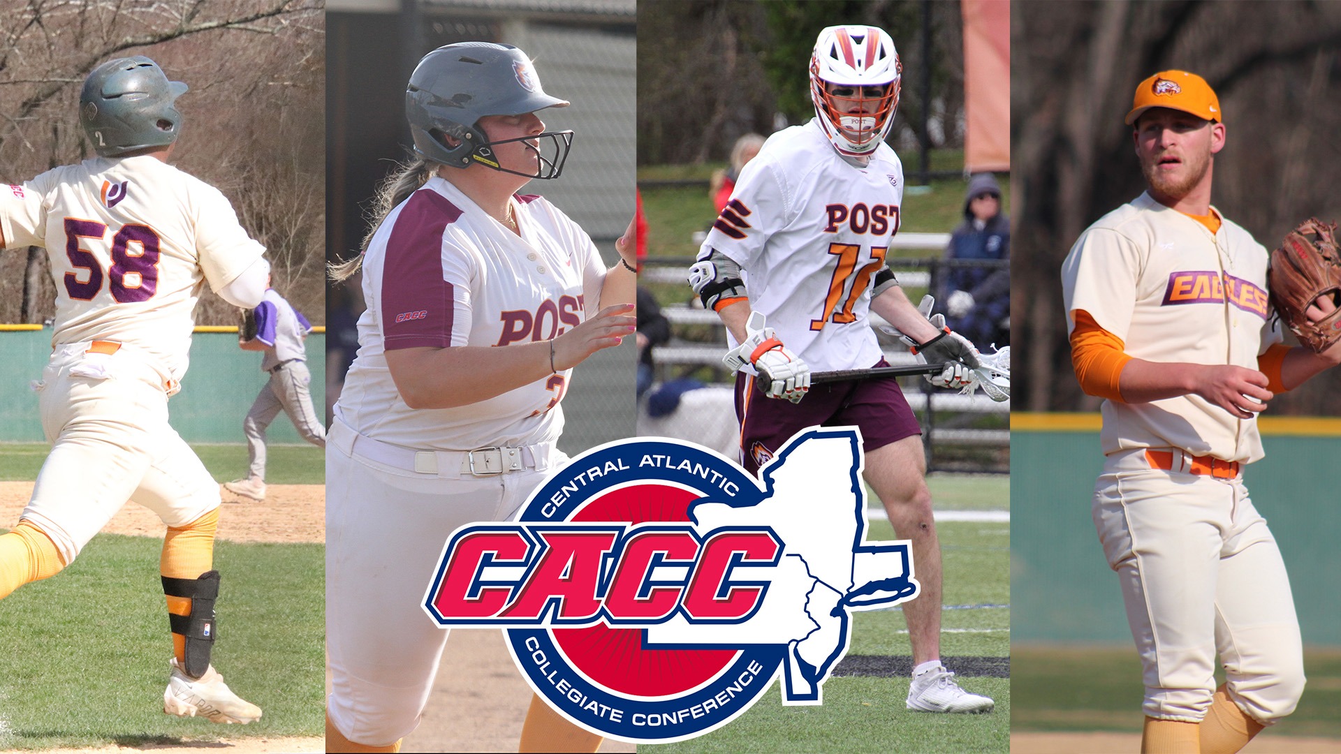Jack Martineau Named CACC Co-Rookie of the Week for Baseball, Three Eagles Named to Honor Roll ...