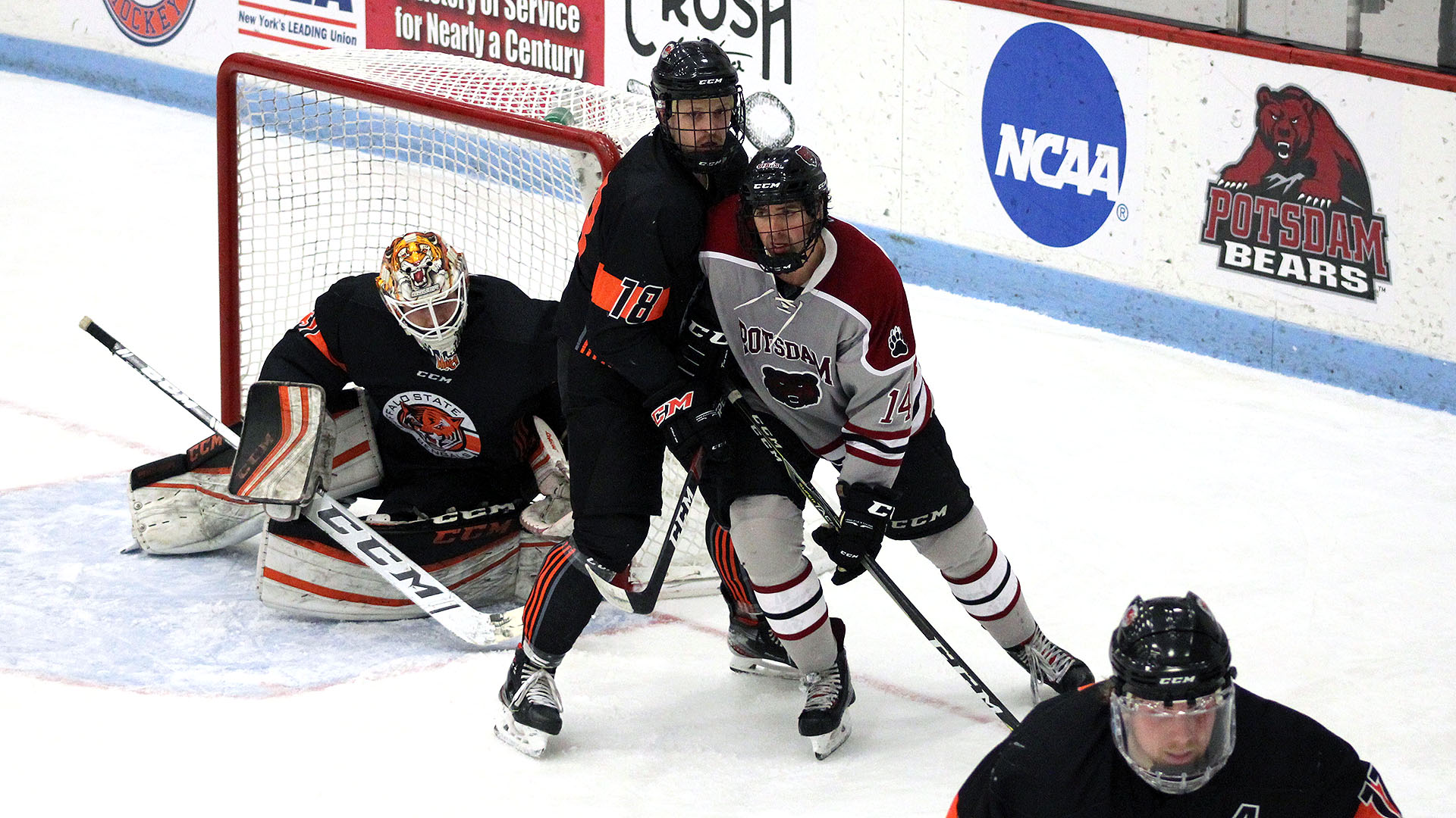 Nick Alfieri - Men's Ice Hockey - SUNY Potsdam Athletics