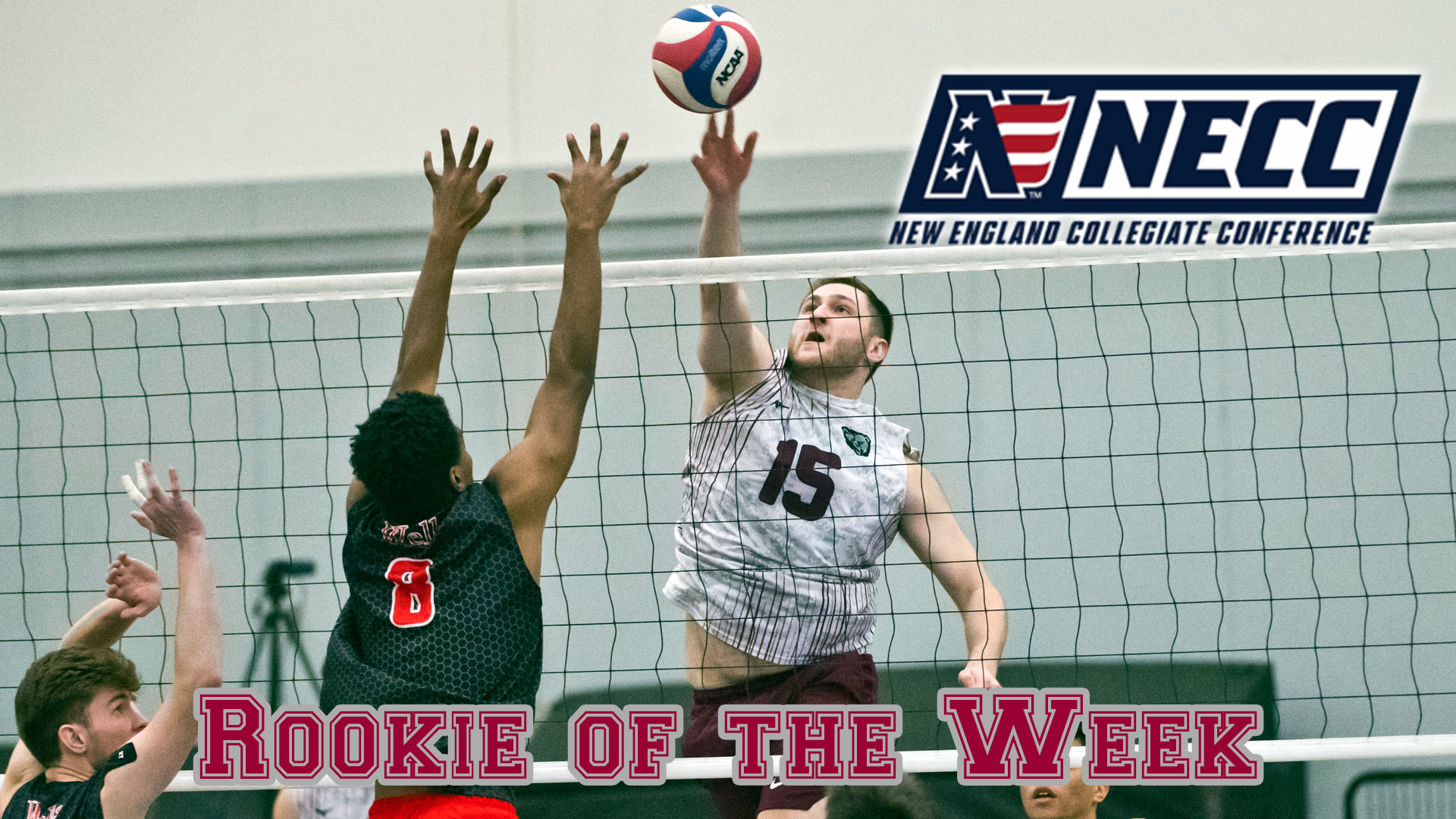 Jason Hendler - Men's Volleyball - SUNY Potsdam Athletics