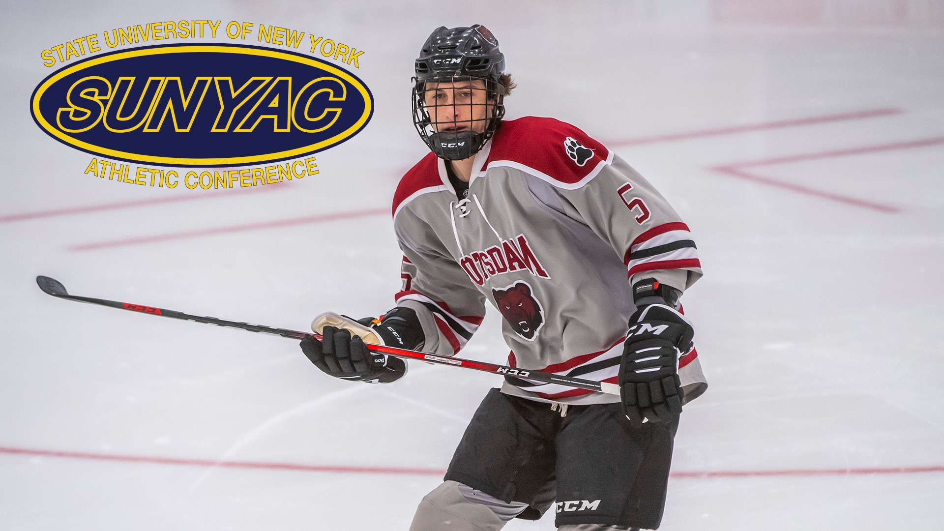 Ryan Lieth - Men's Ice Hockey - SUNY Potsdam Athletics