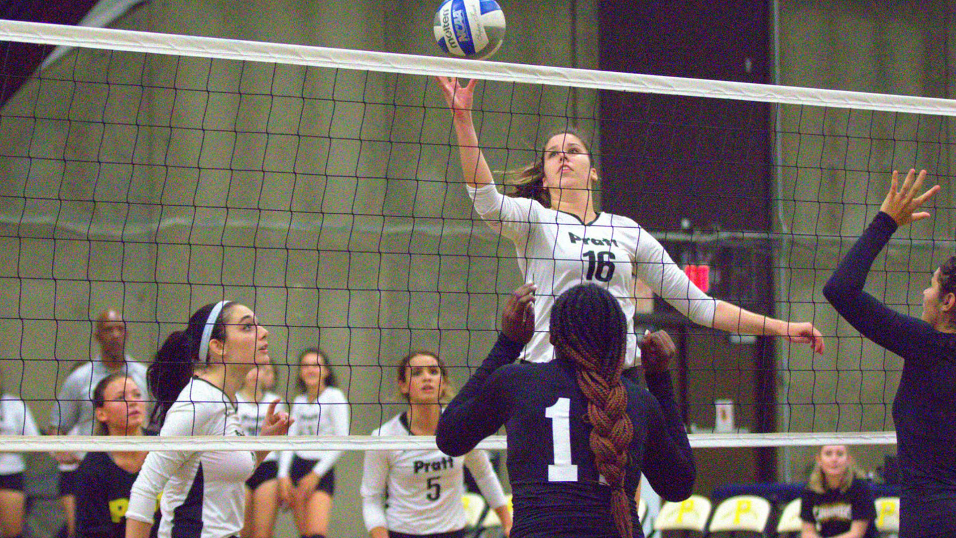 Elizabeth Hannah - Women's Volleyball - Pratt Institute